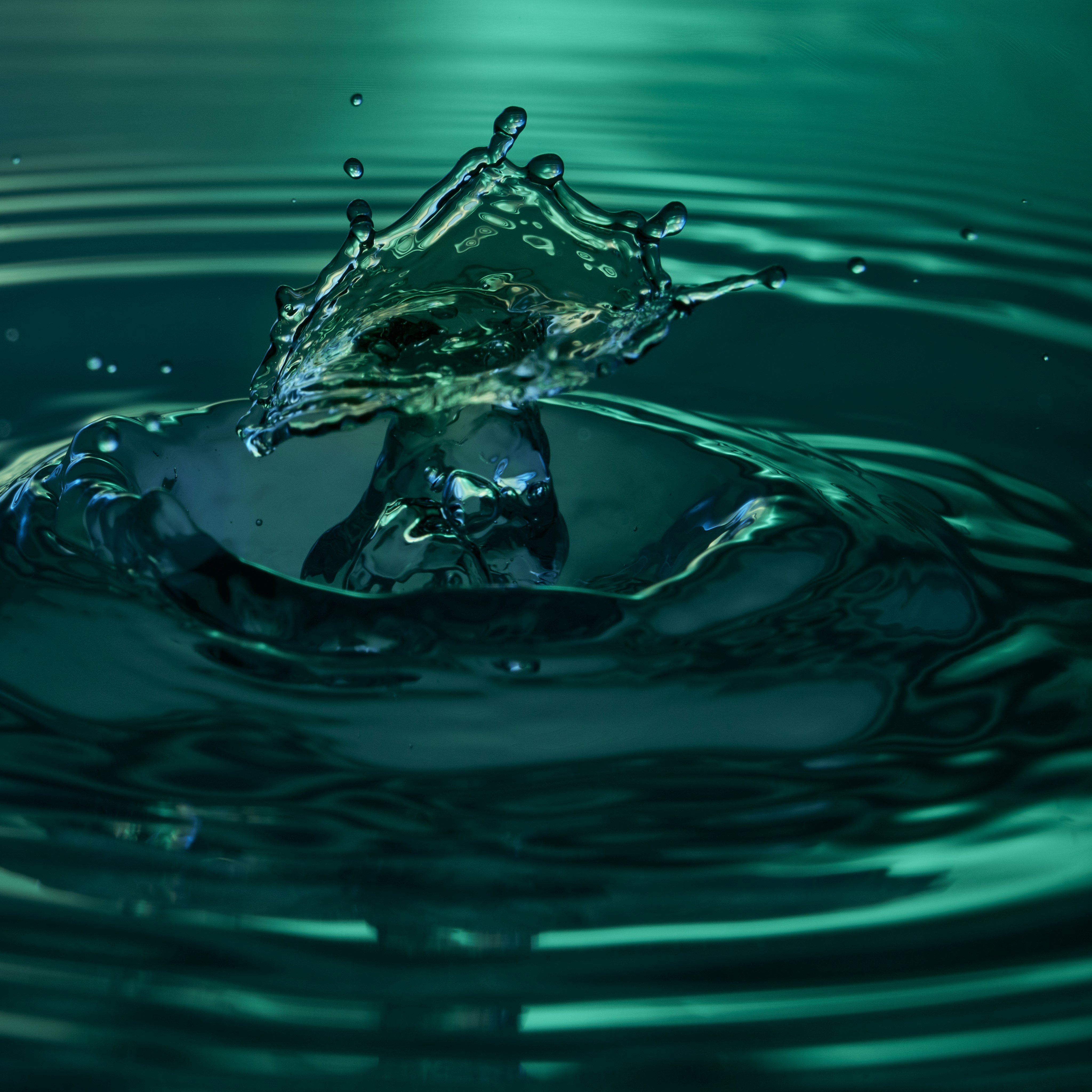 Selective focus photography of splash of water photo – Free Slovakia ...