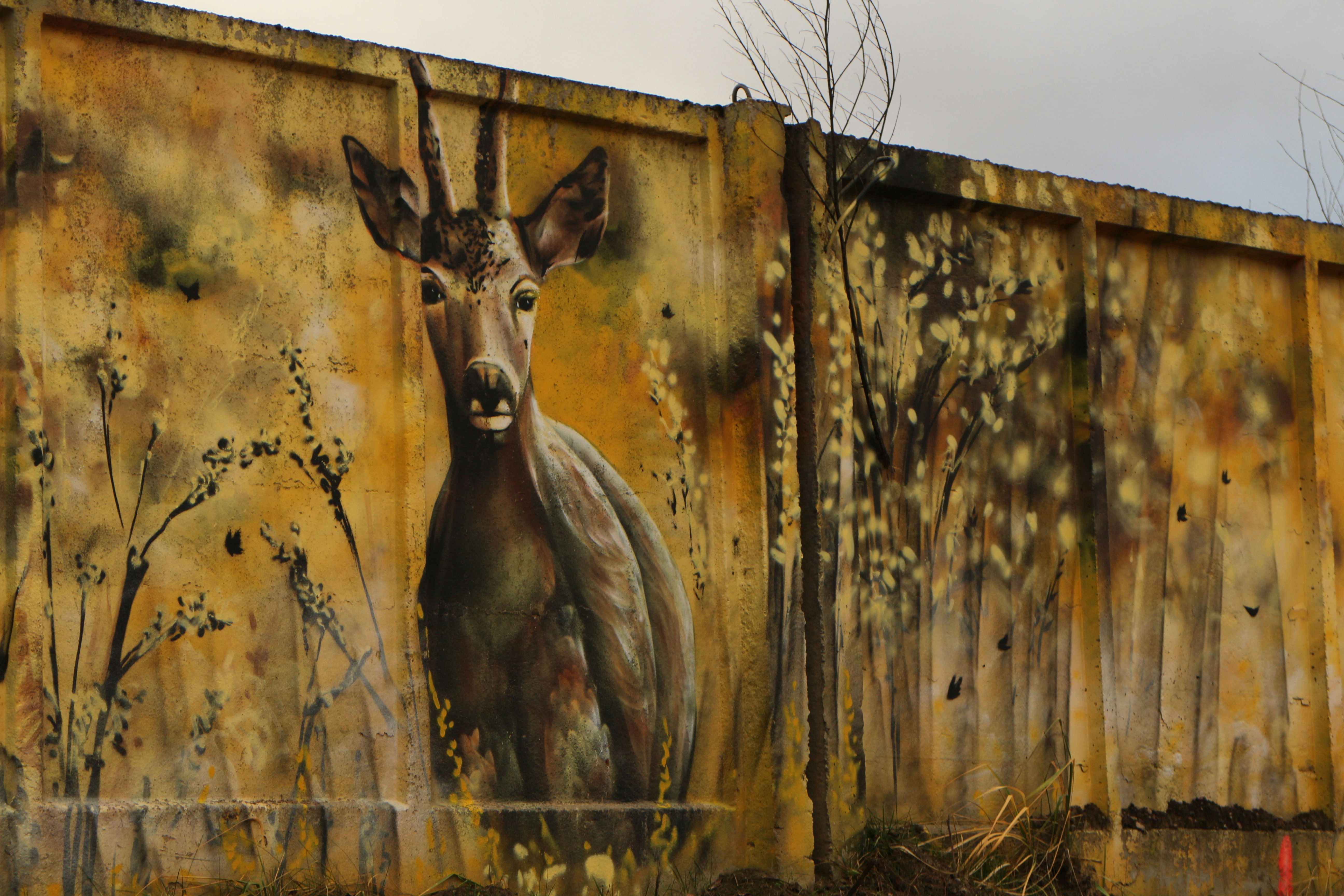 Gaze in Rust: A Deer Portrait on a Weathered Container Wall