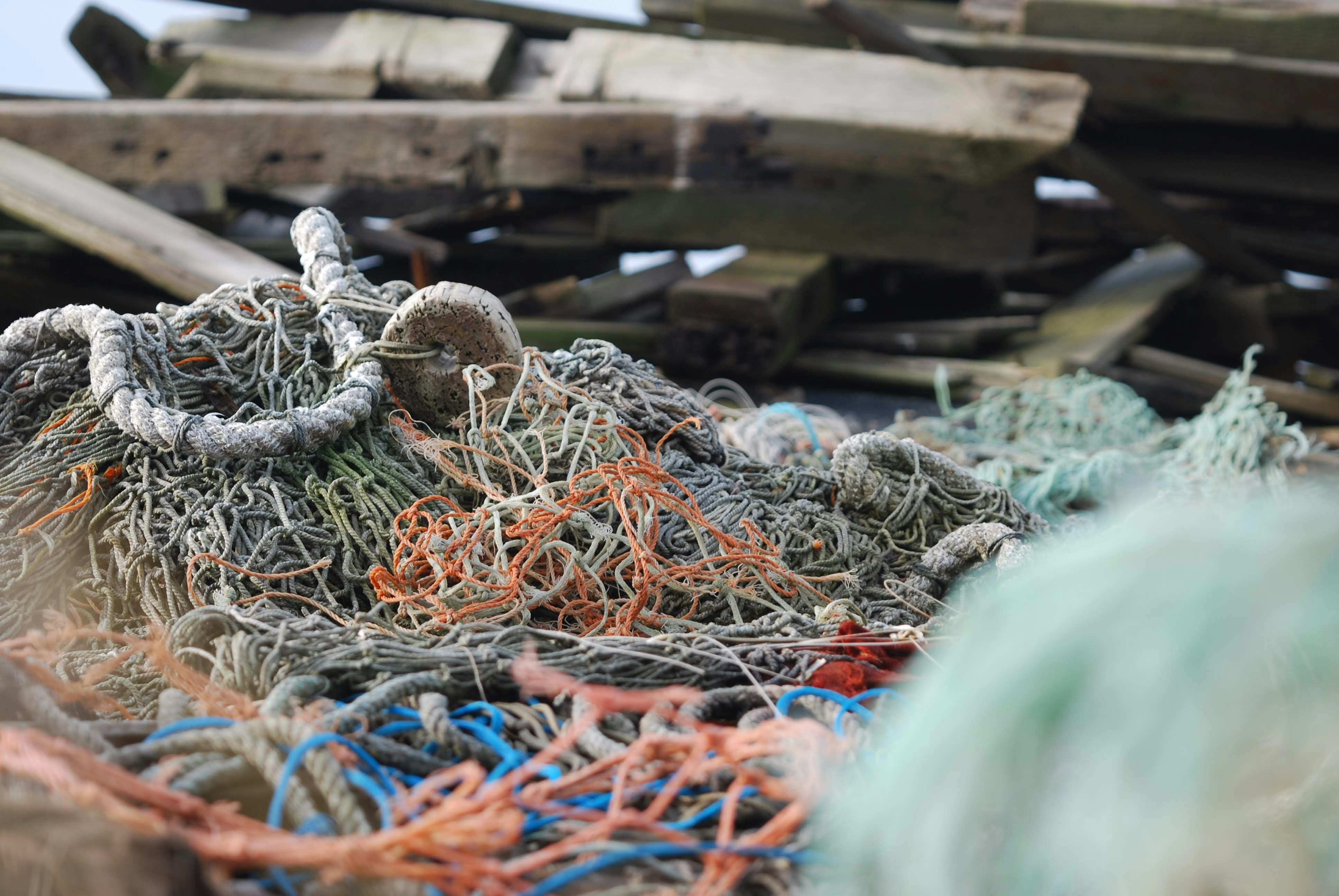 Tangled Tales of the Tide
