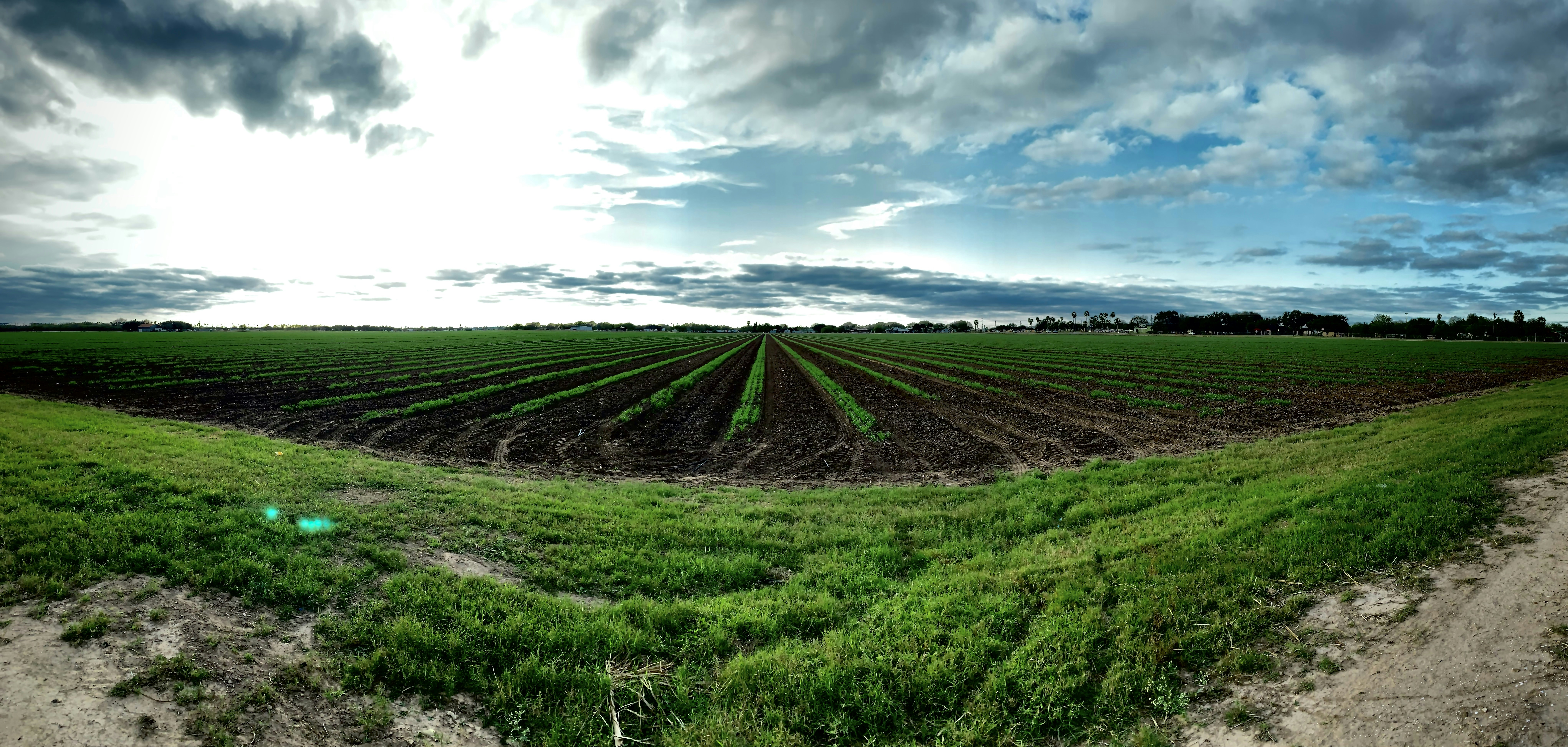 Converging Furrows under a Split-Cloud Sky: A Wide-Field Panorama