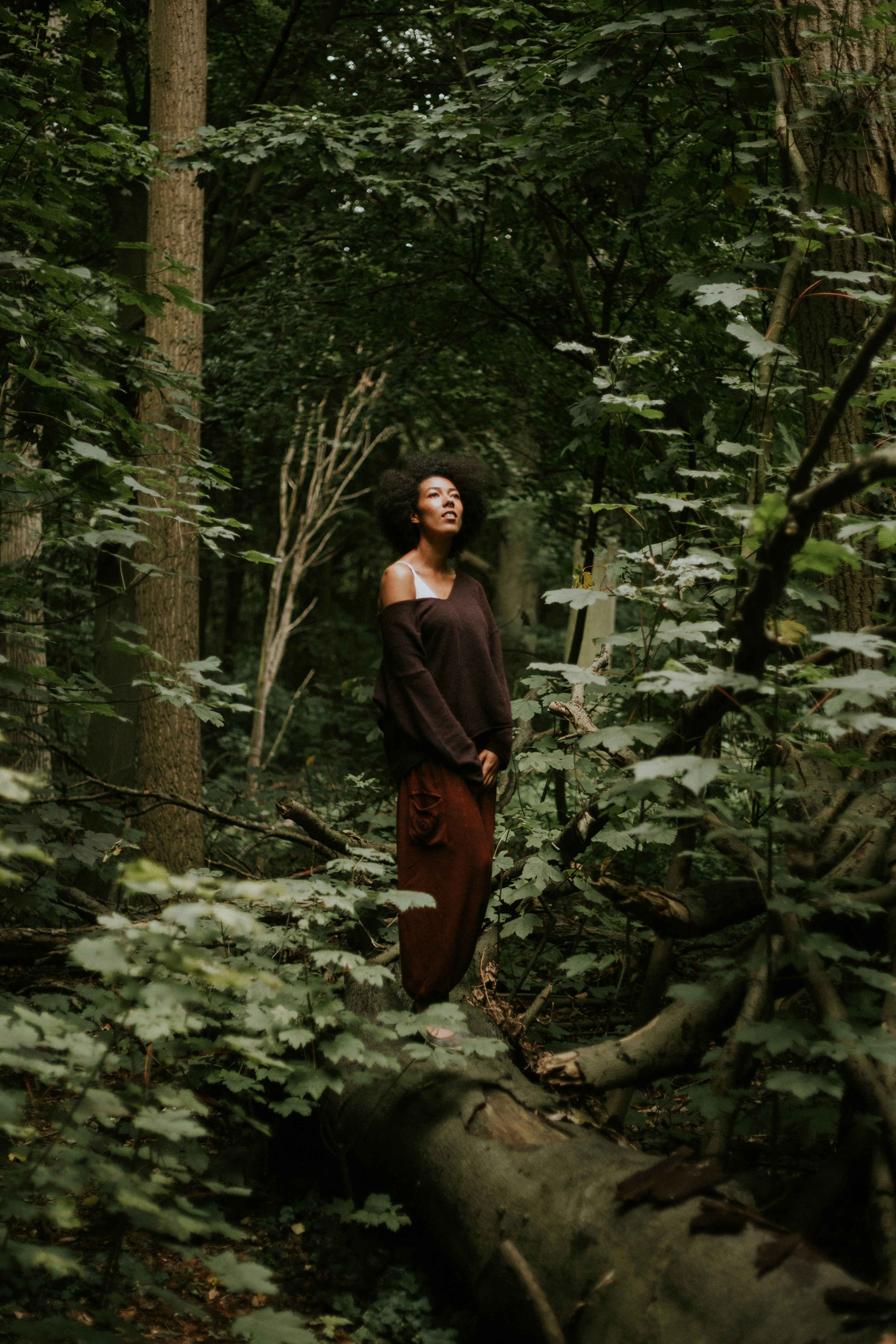 Person in a brown long-sleeved shirt stands on a fallen log surrounded by dense forest greenery.