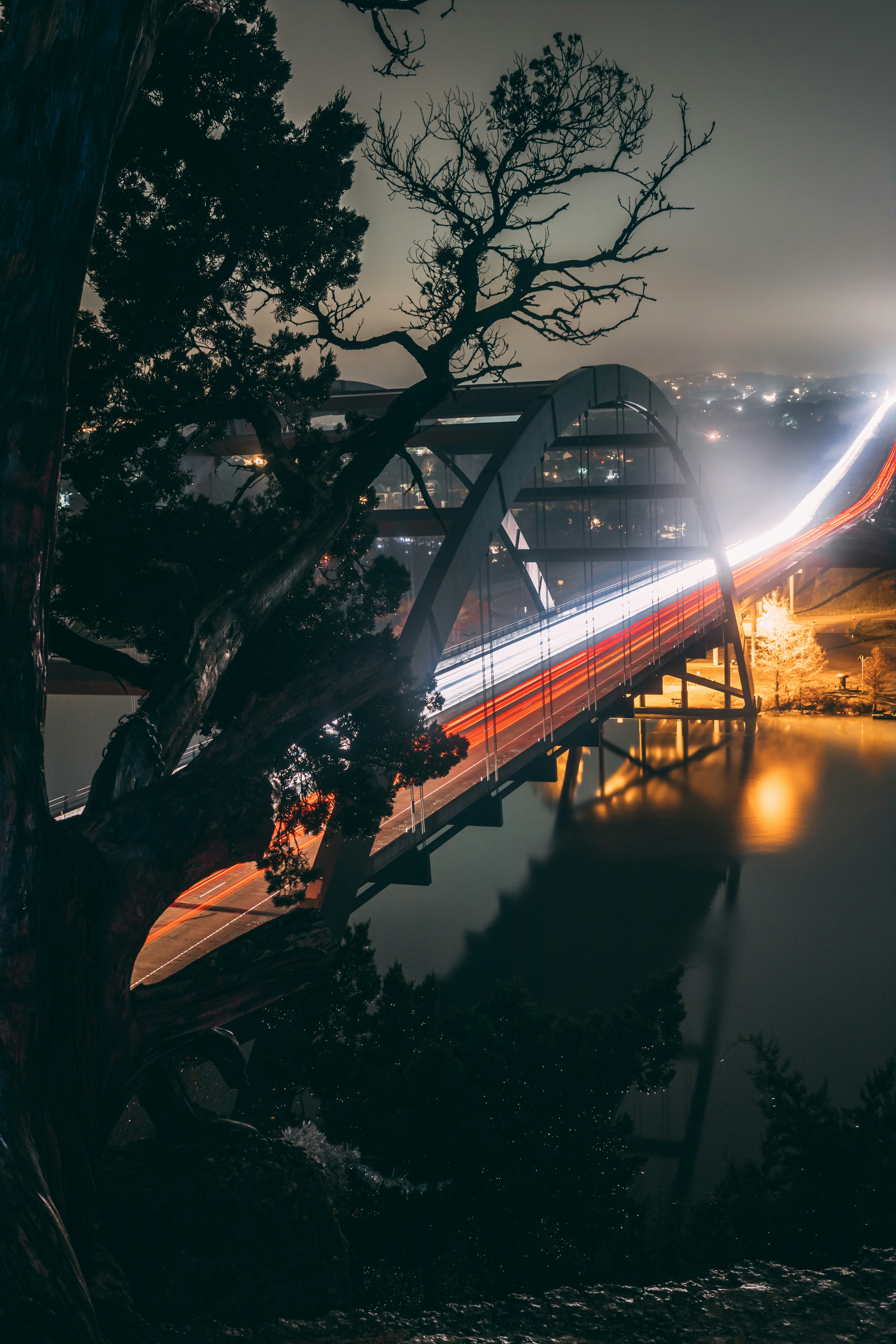 Silhouette of tree near bridge photo – Free Tx Image on Unsplash