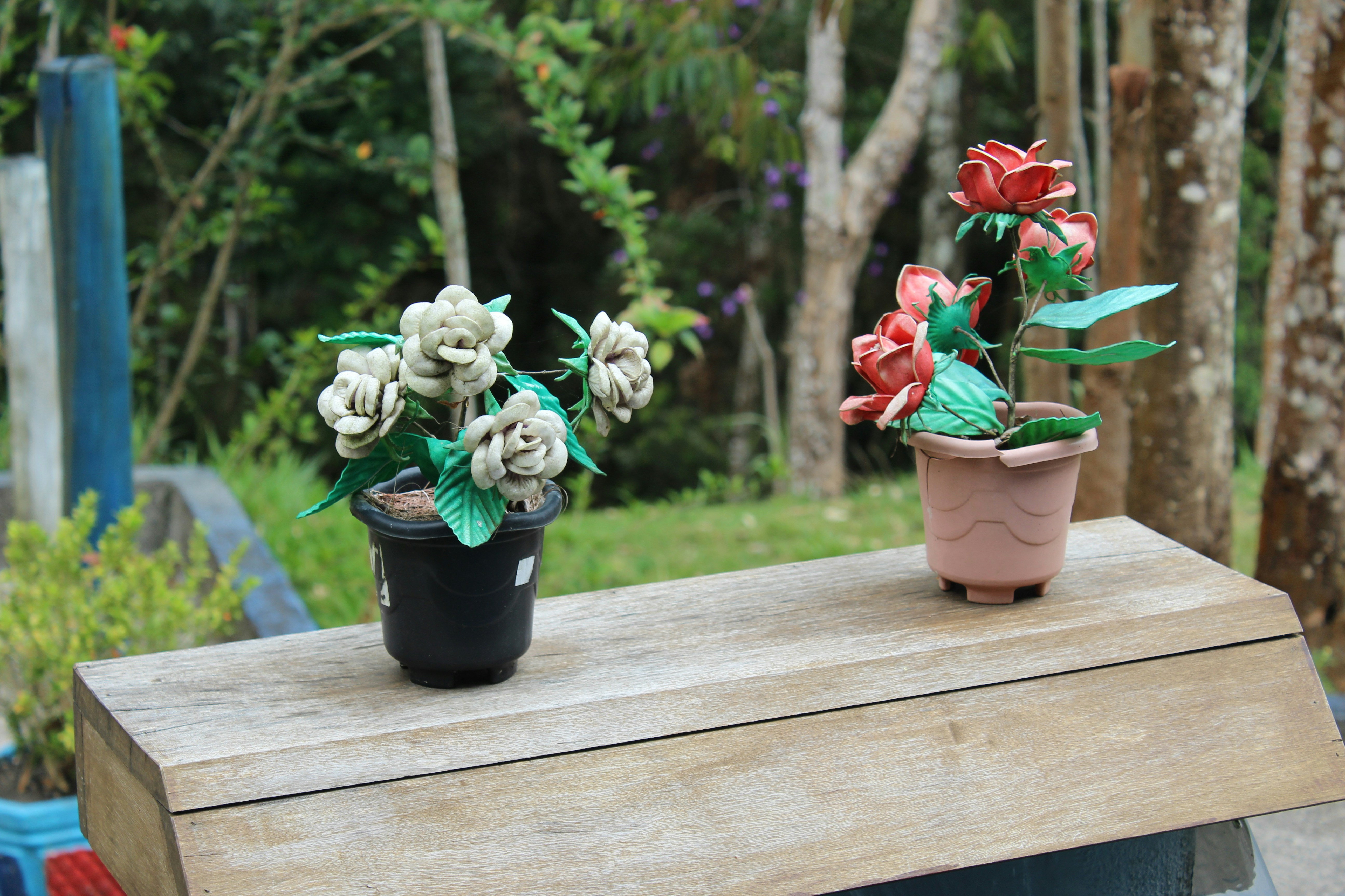 Pastel Pots on Weathered Wood: A Quiet Garden Moment