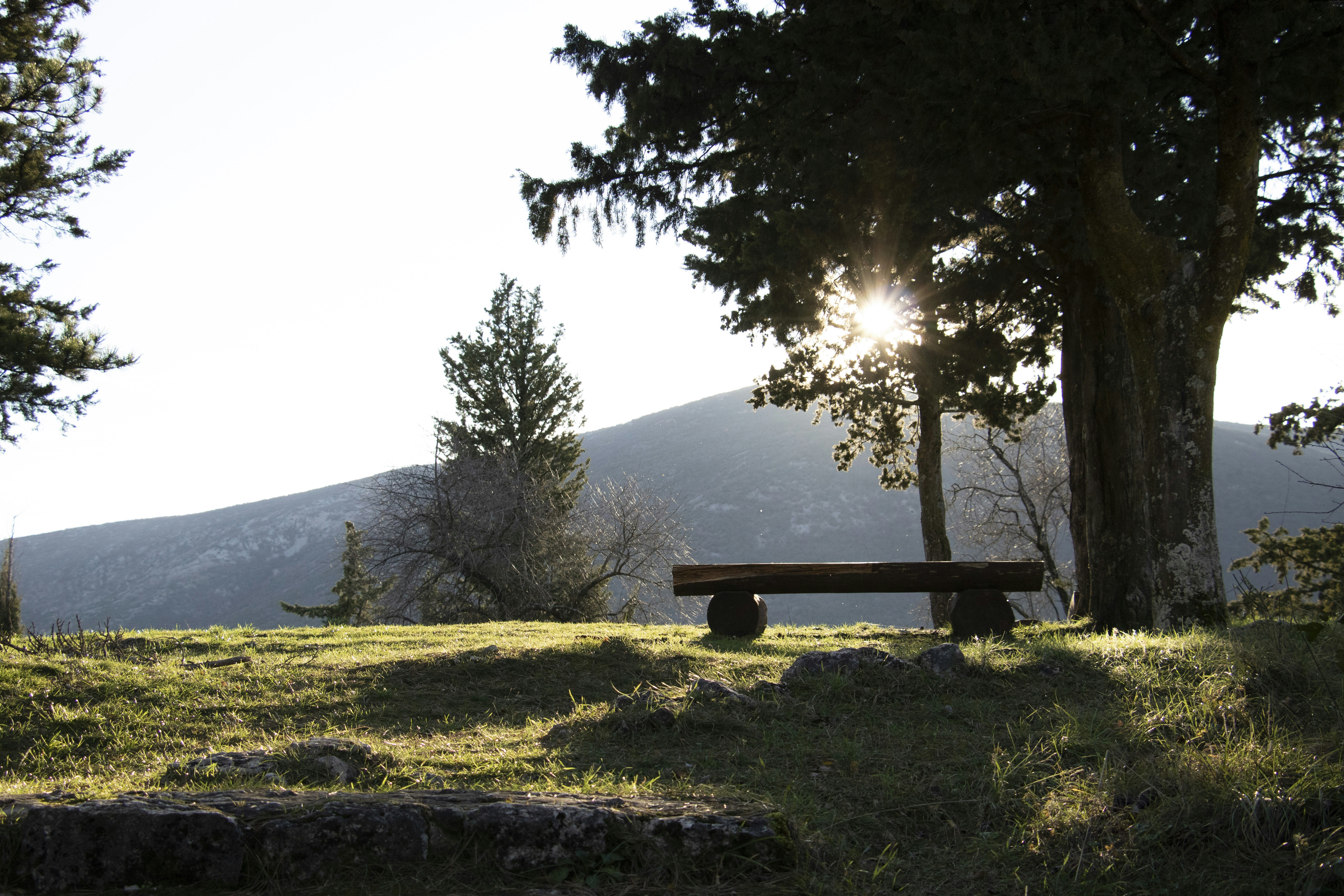 Tom Krush (@tom_krush) | Unsplashフォトコミュニティ