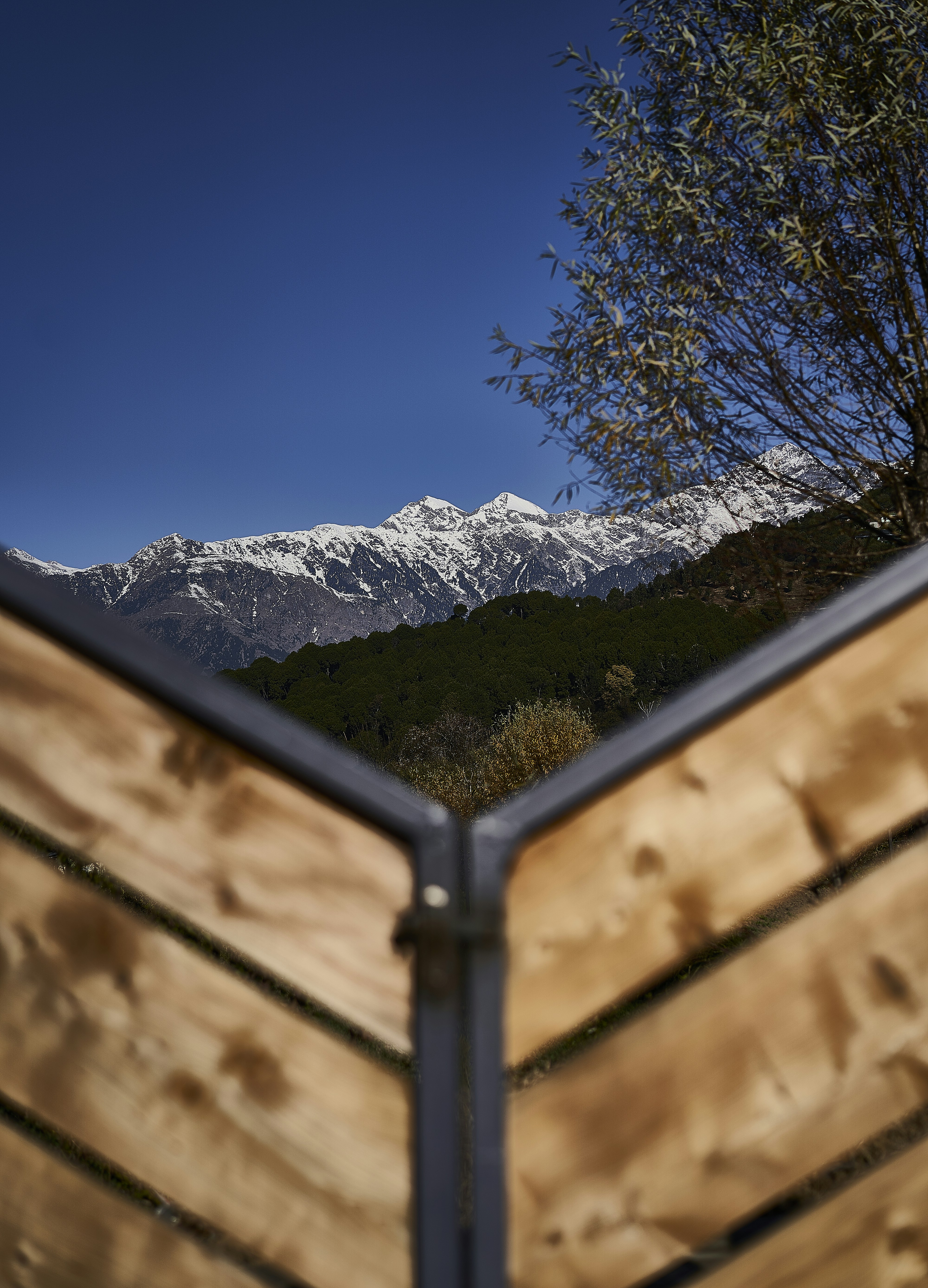 Framing the Summit: Snow-Capped Peaks Beyond a V-Shaped Gate