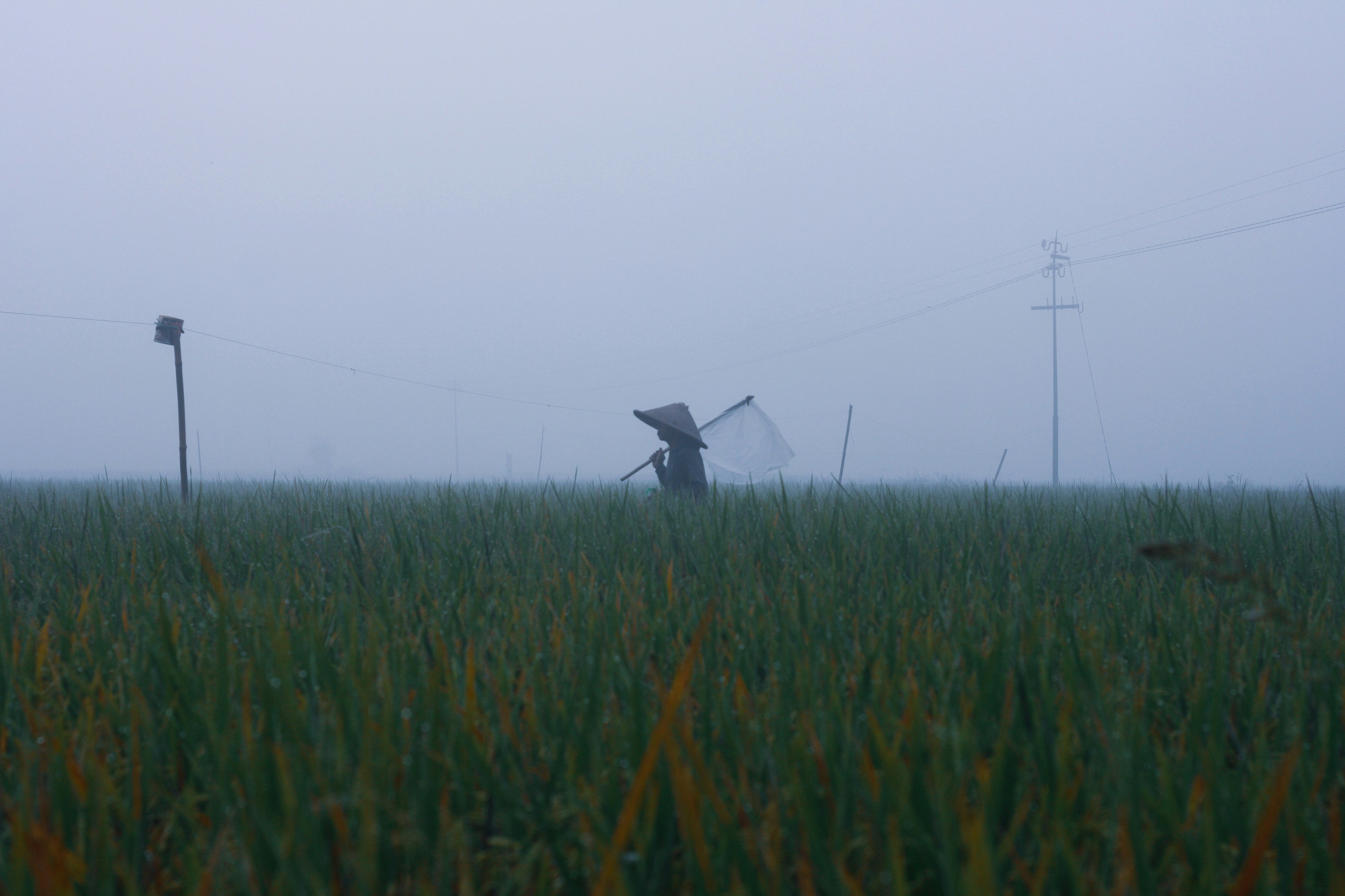 Mistbound Guardian: A Wind-Worn Scarecrow in Fog