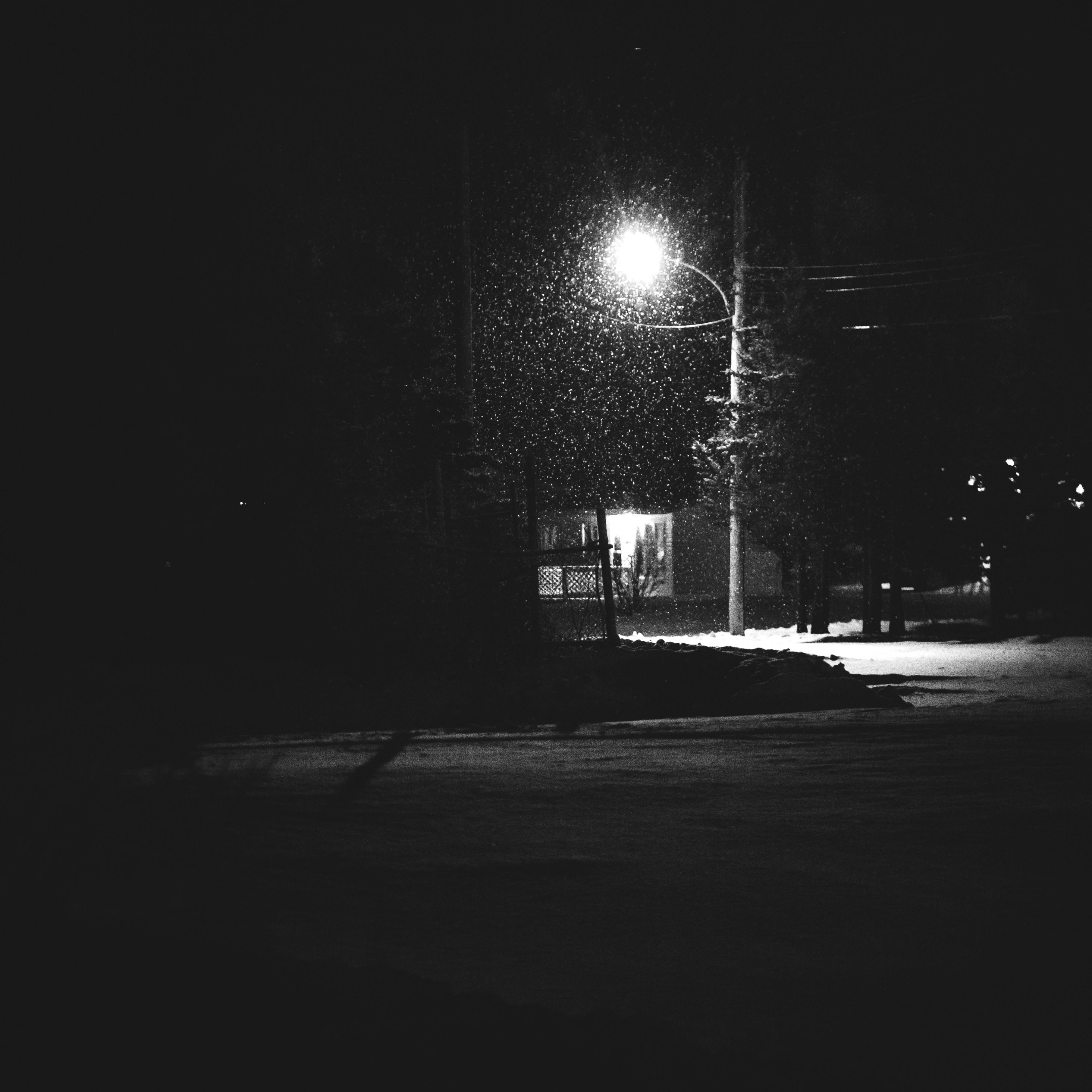 Photo by Erik Mclean with Canon EOS 6D