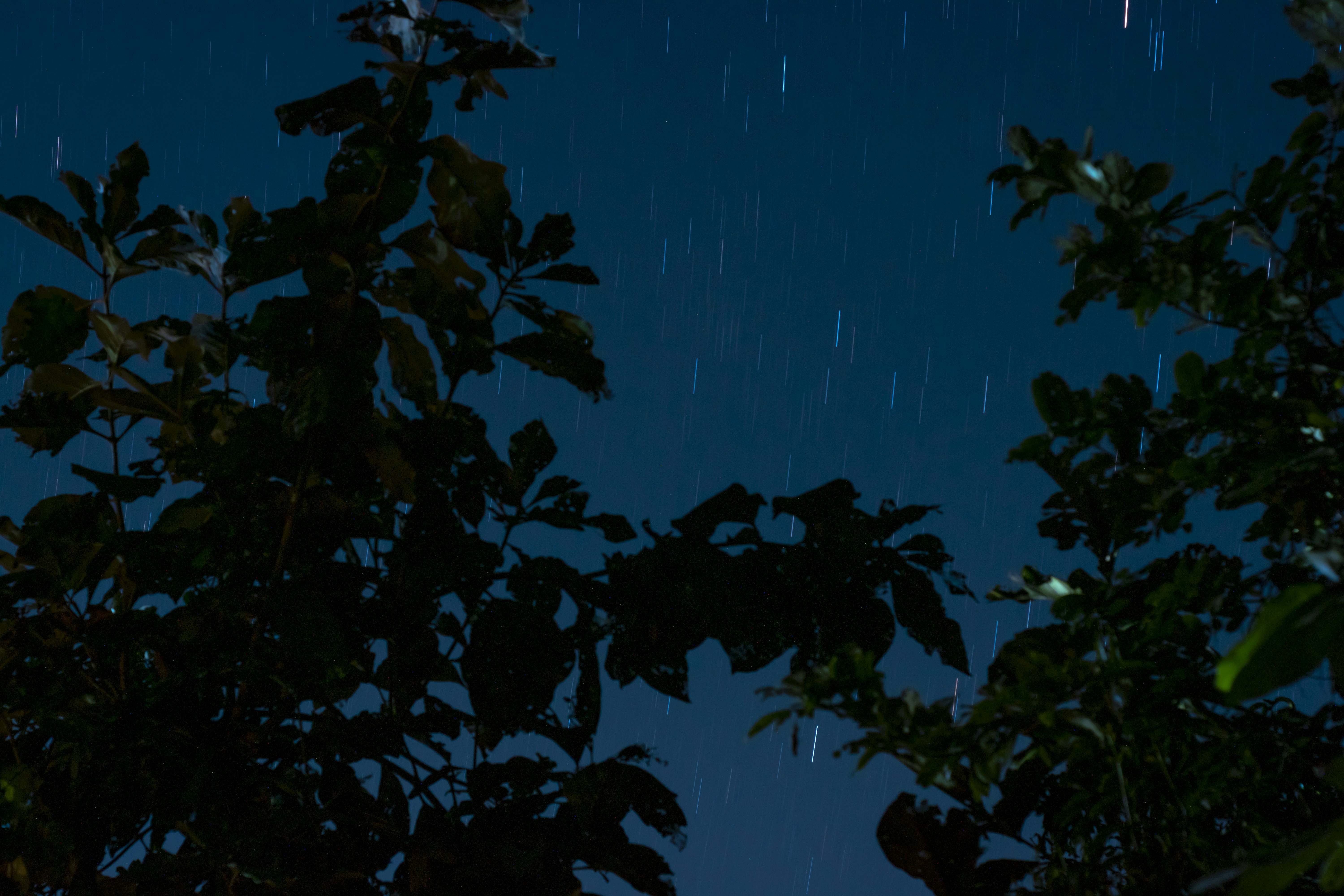The night sky is full of stars and rain photo – Free Blue Image on Unsplash