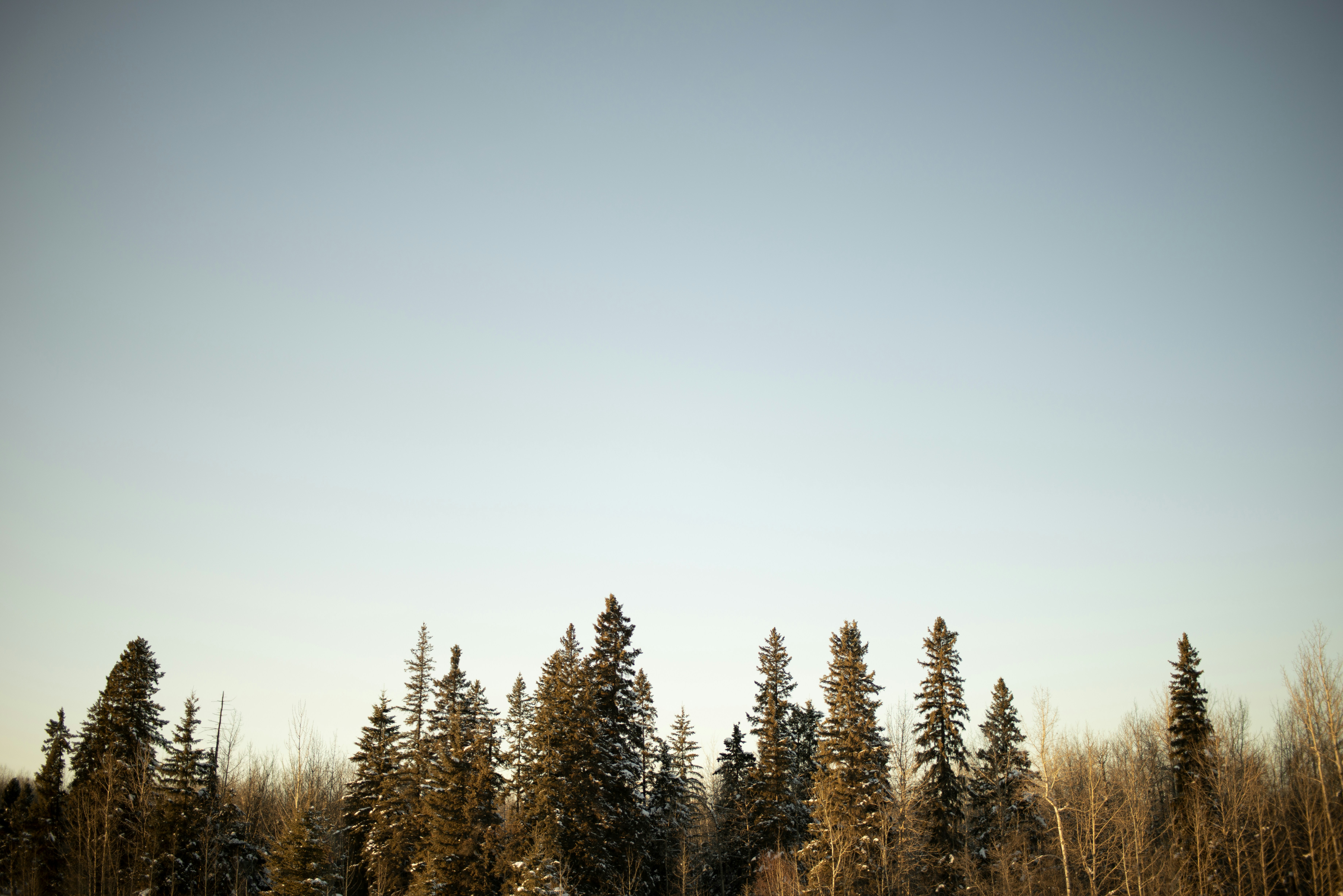 Sample photo from Nikon D800