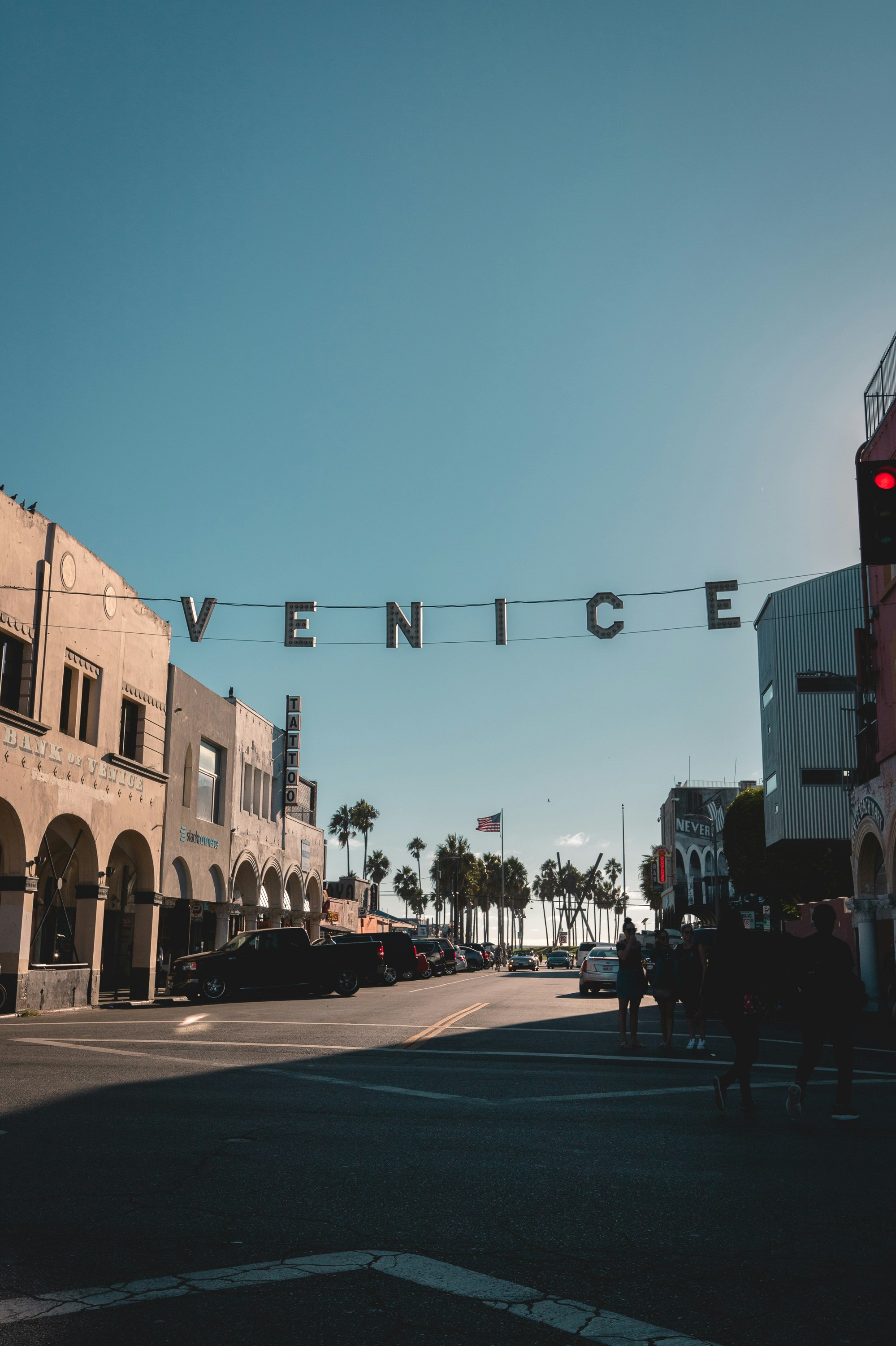 Venice Boulevard Banner: Palm-Fringed Street Under a Clear Sky
