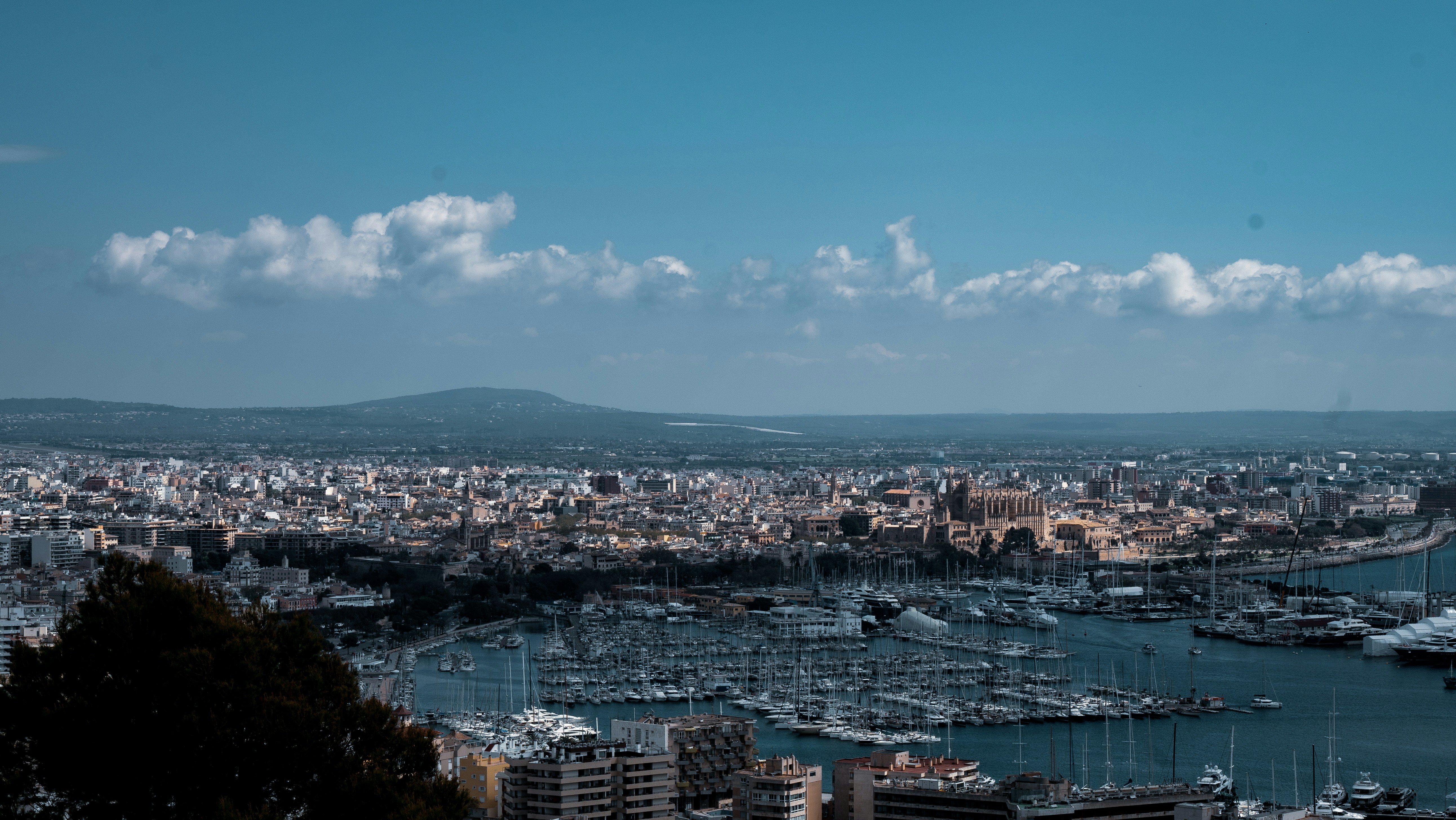 Expansive view of Palma de Mallorca's harbor with sailboats and cityscape under a clear blue sky.