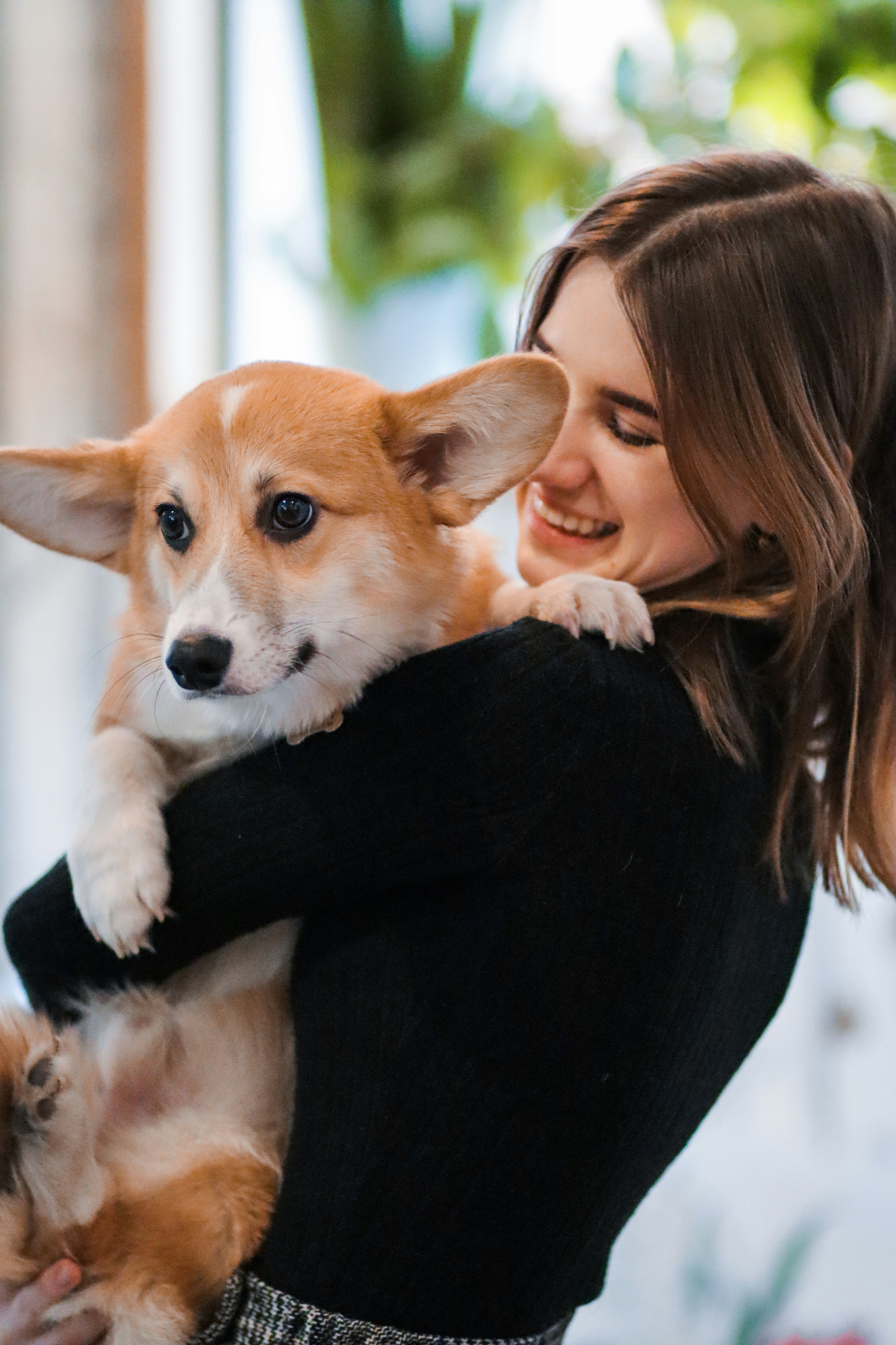Woman carrying corgi photo – Free Human Image on Unsplash