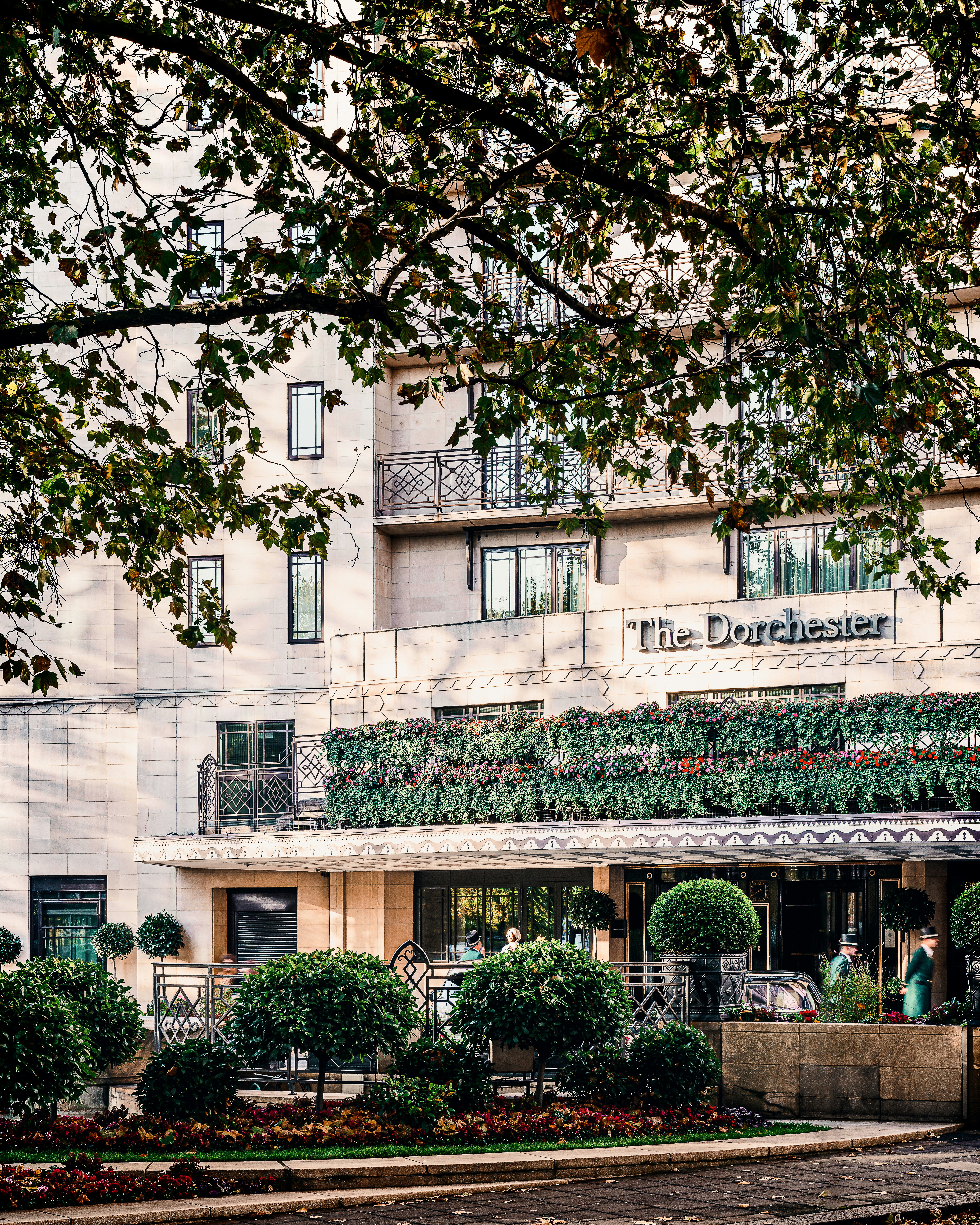 Facade of The Dorchester hotel framed by lush greenery and a tree canopy.