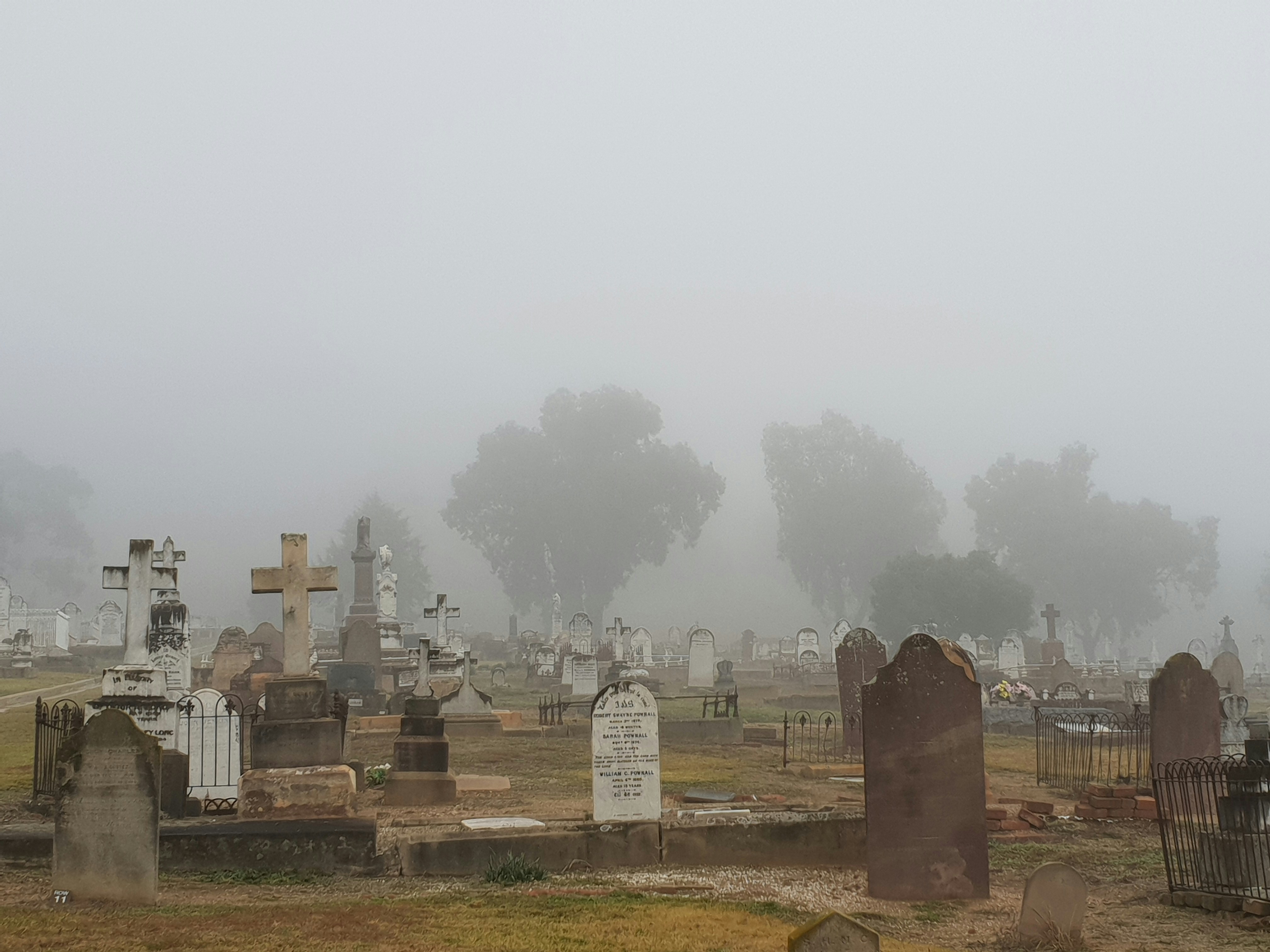 Old cemetry on a foggy morning 