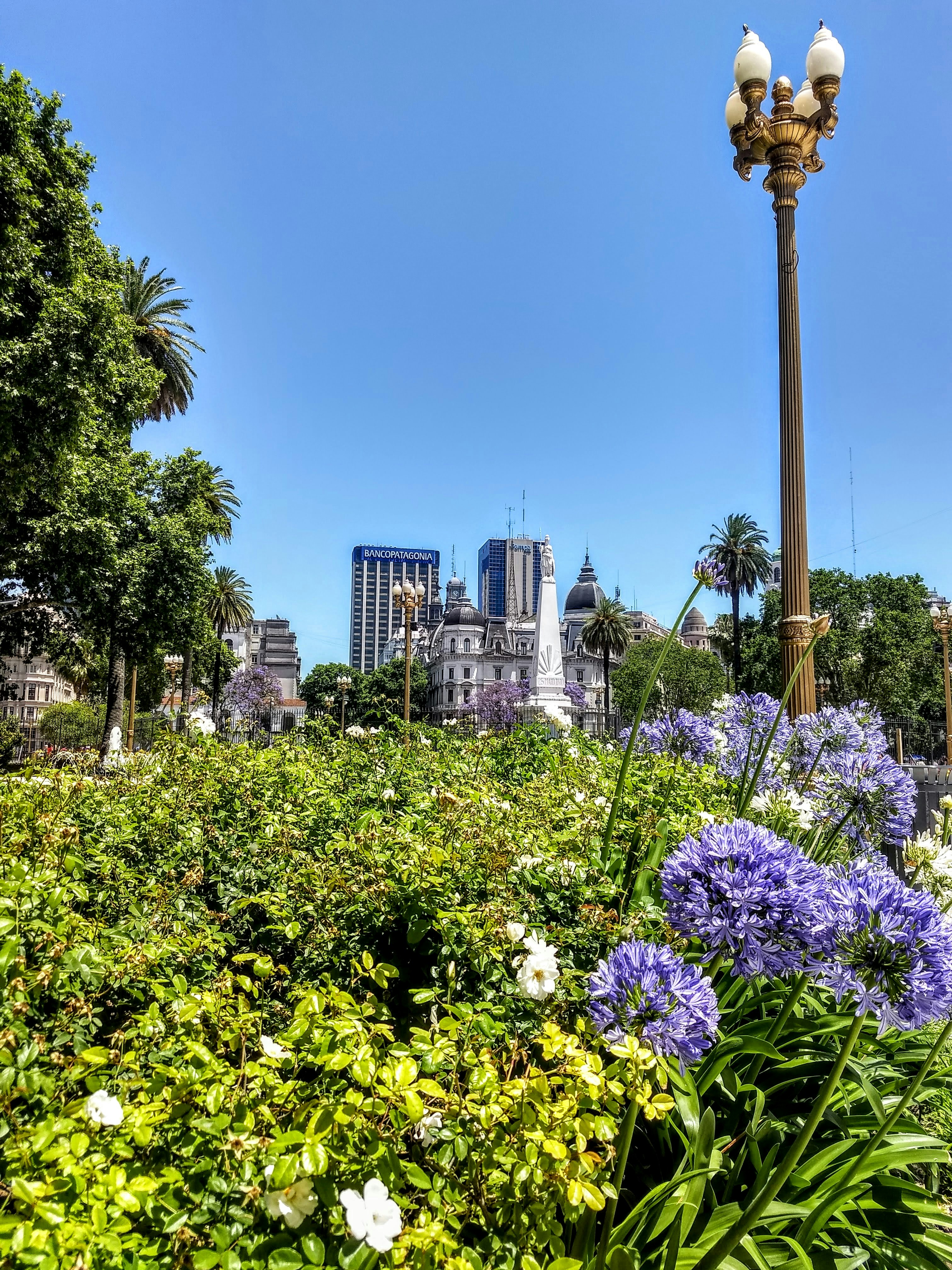 Vibrant flowers in the foreground frame a bustling cityscape with historic architecture and modern skyscrapers under a clear blue sky.