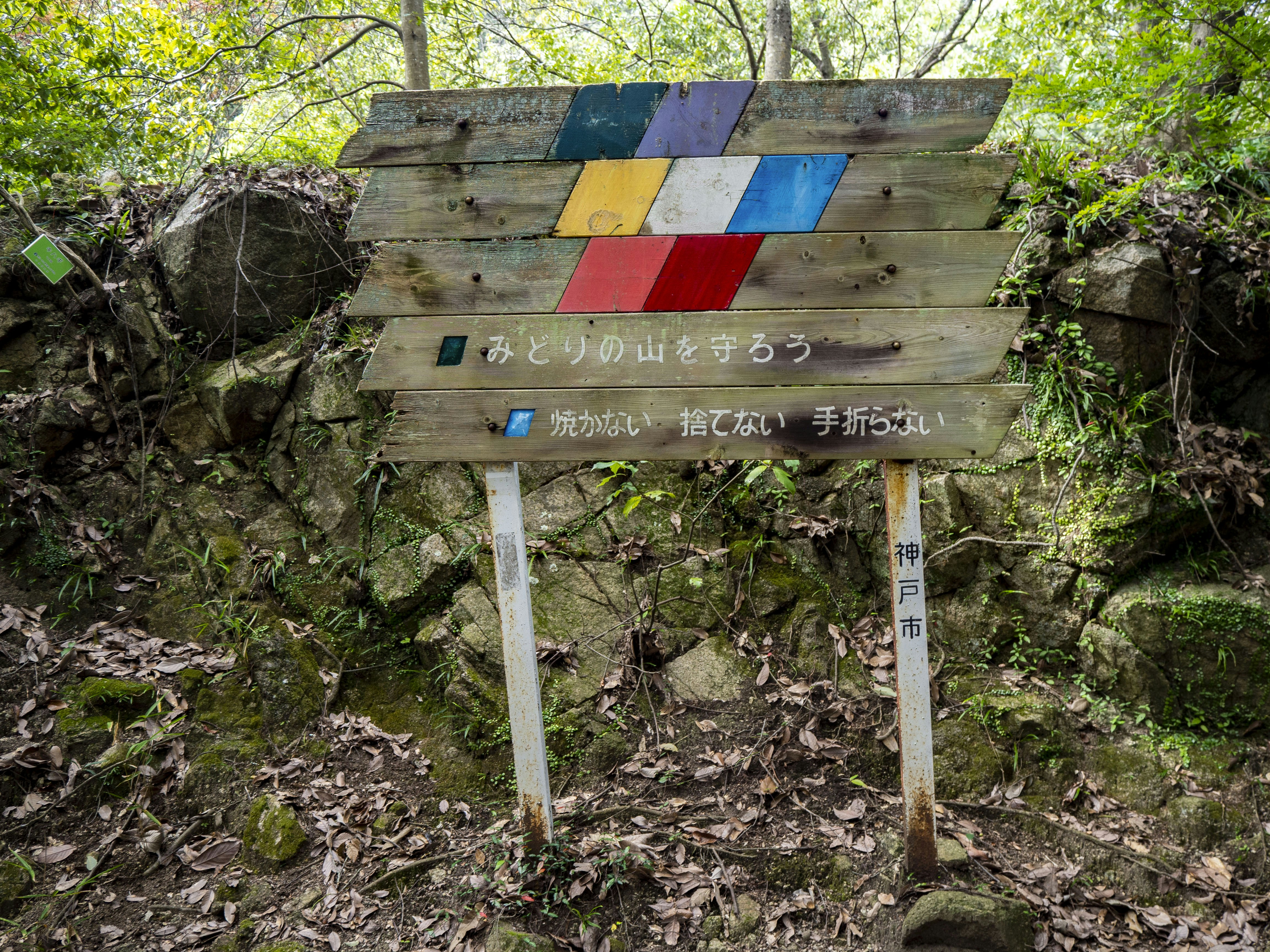 Wooden signboard with colorful geometric shapes and kanji script, set against a rocky forest background.