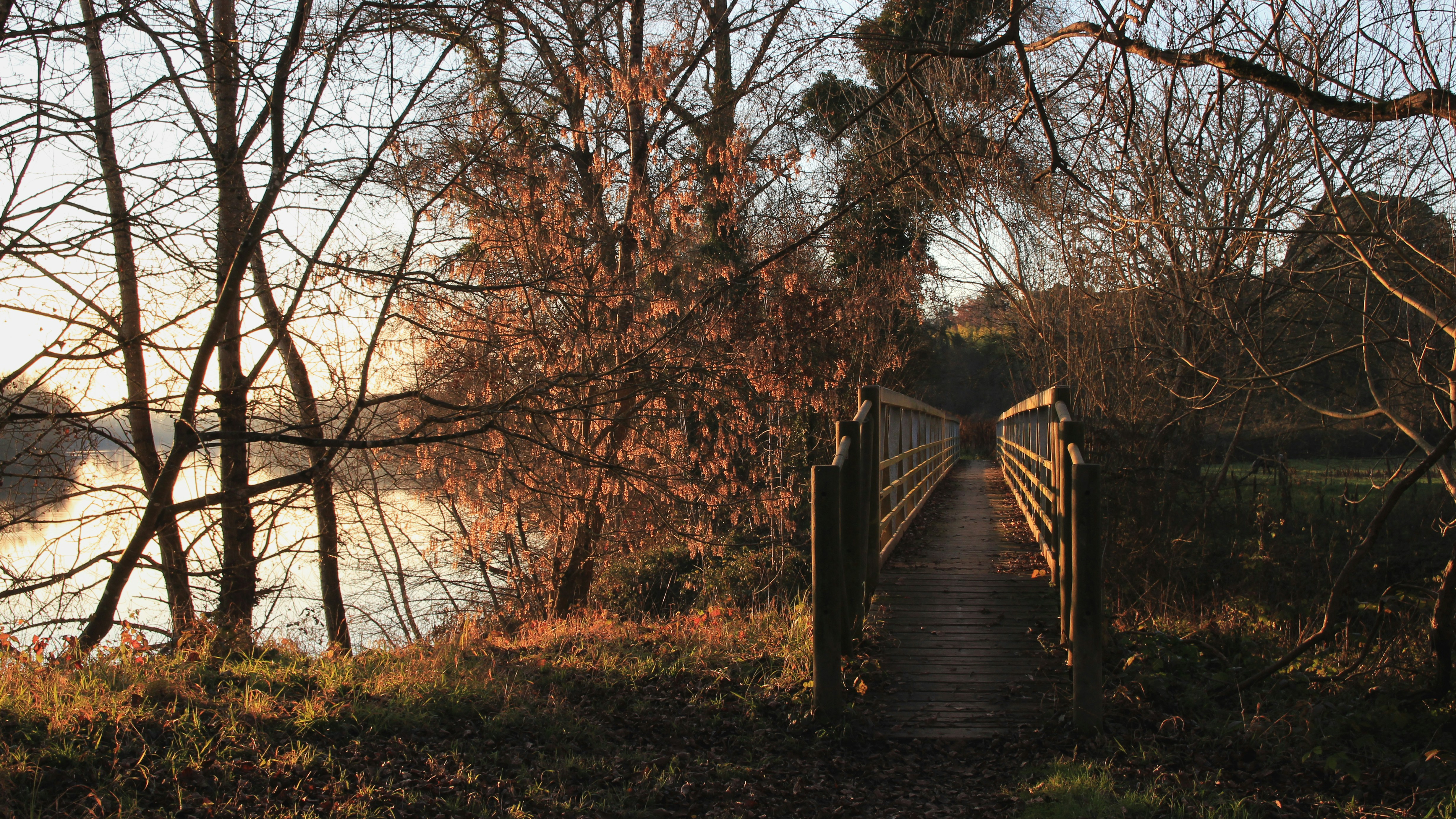 Wooden bridge leading into a serene landscape at sunset, framed by trees and soft reflections on the water. 