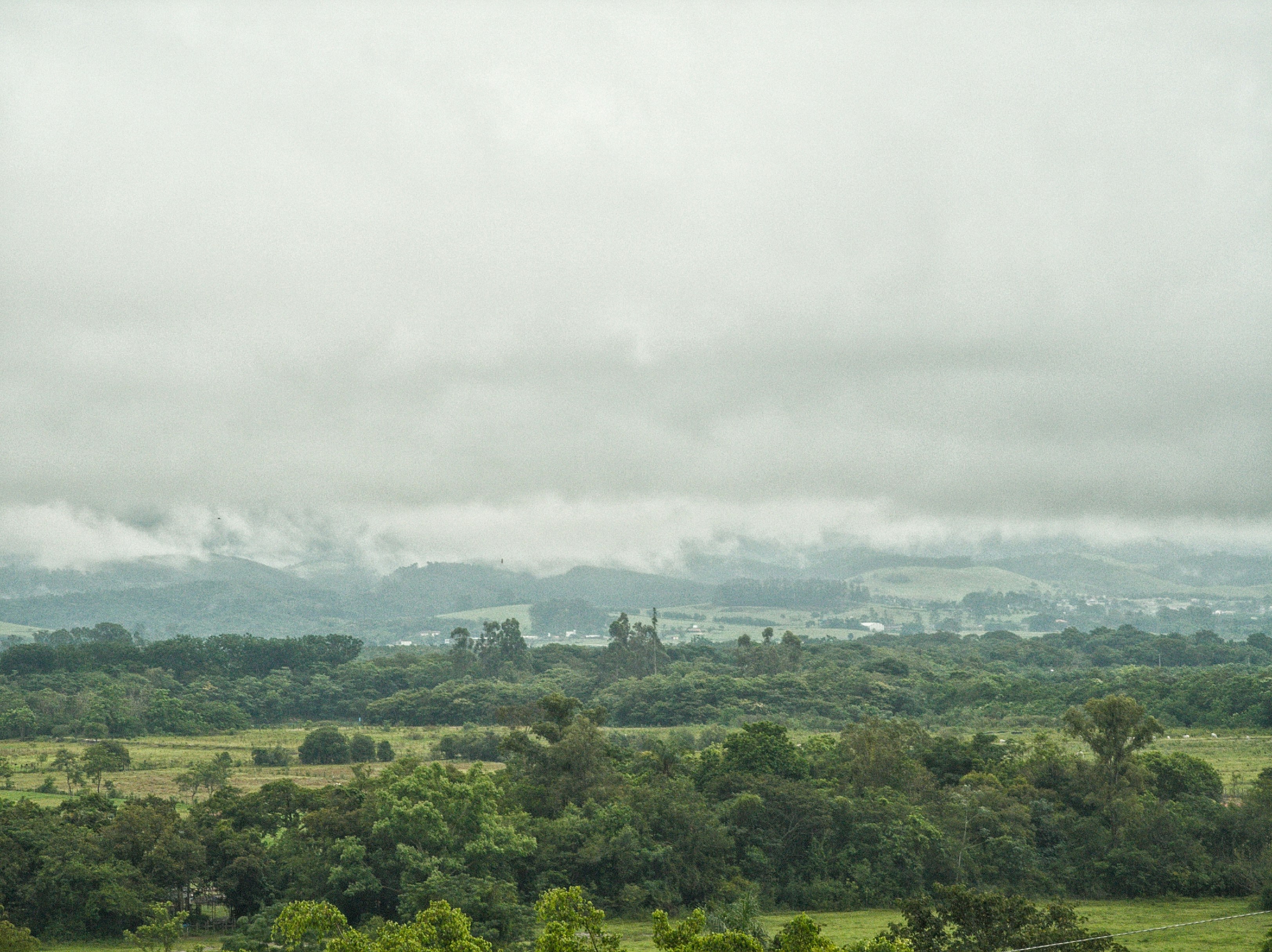 Lush green landscape under a blanket of low-hanging clouds, hinting at distant hills. The scene evokes a serene atmosphere of nature's tranquility.