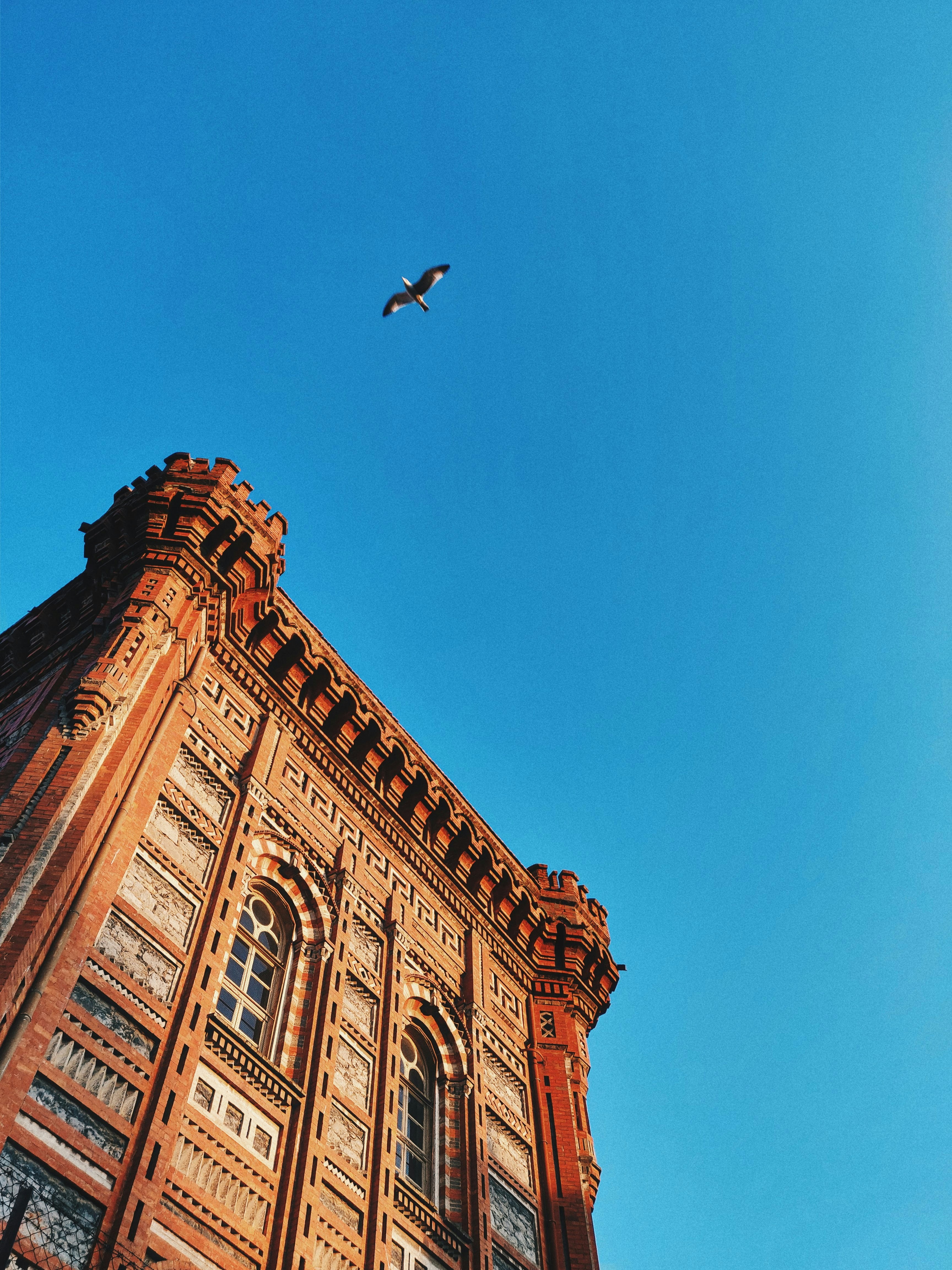 Brickwork Ascending: A Sunlit Tower Framed by a Crisp Blue Sky
