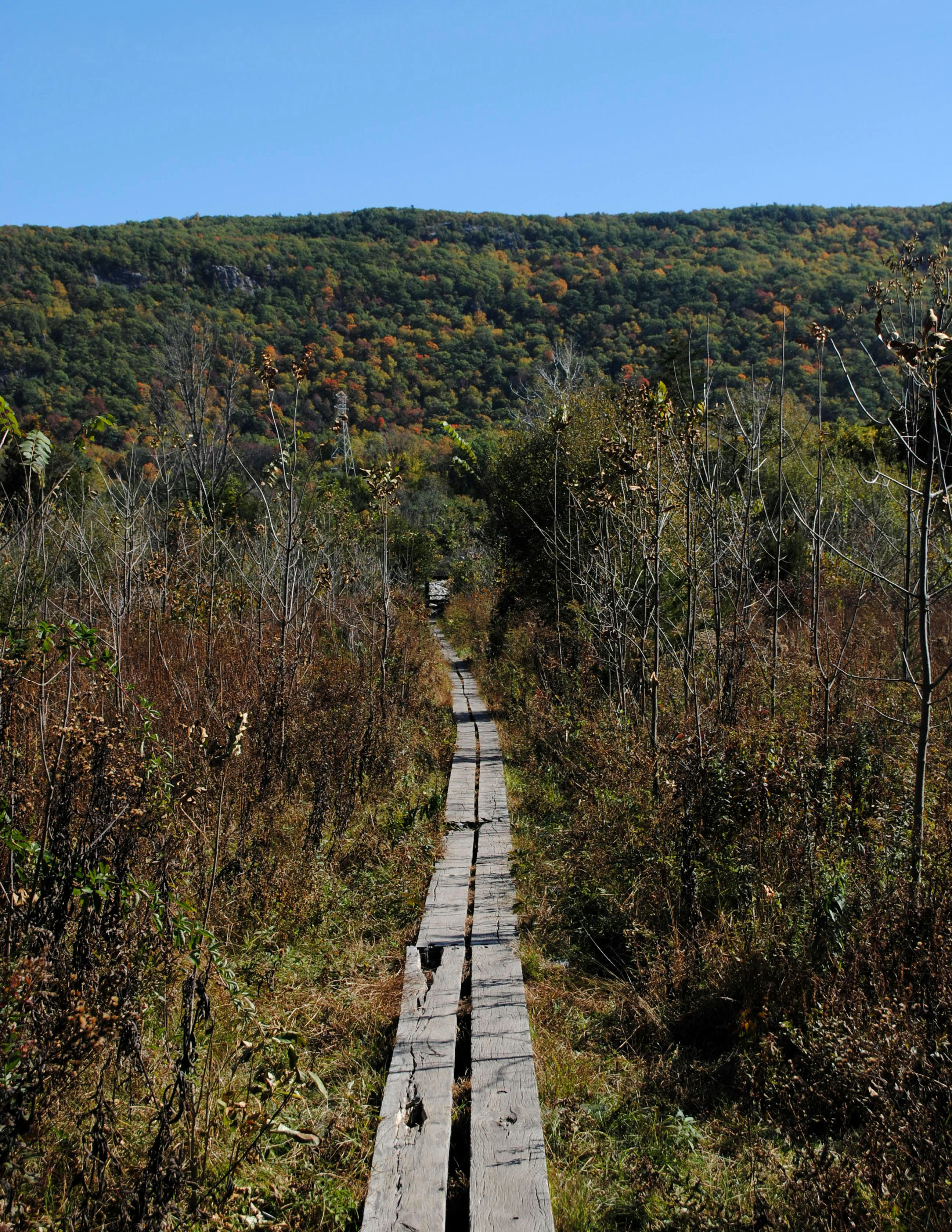 Gray pathway near trees during day photo – Free Building Image on Unsplash