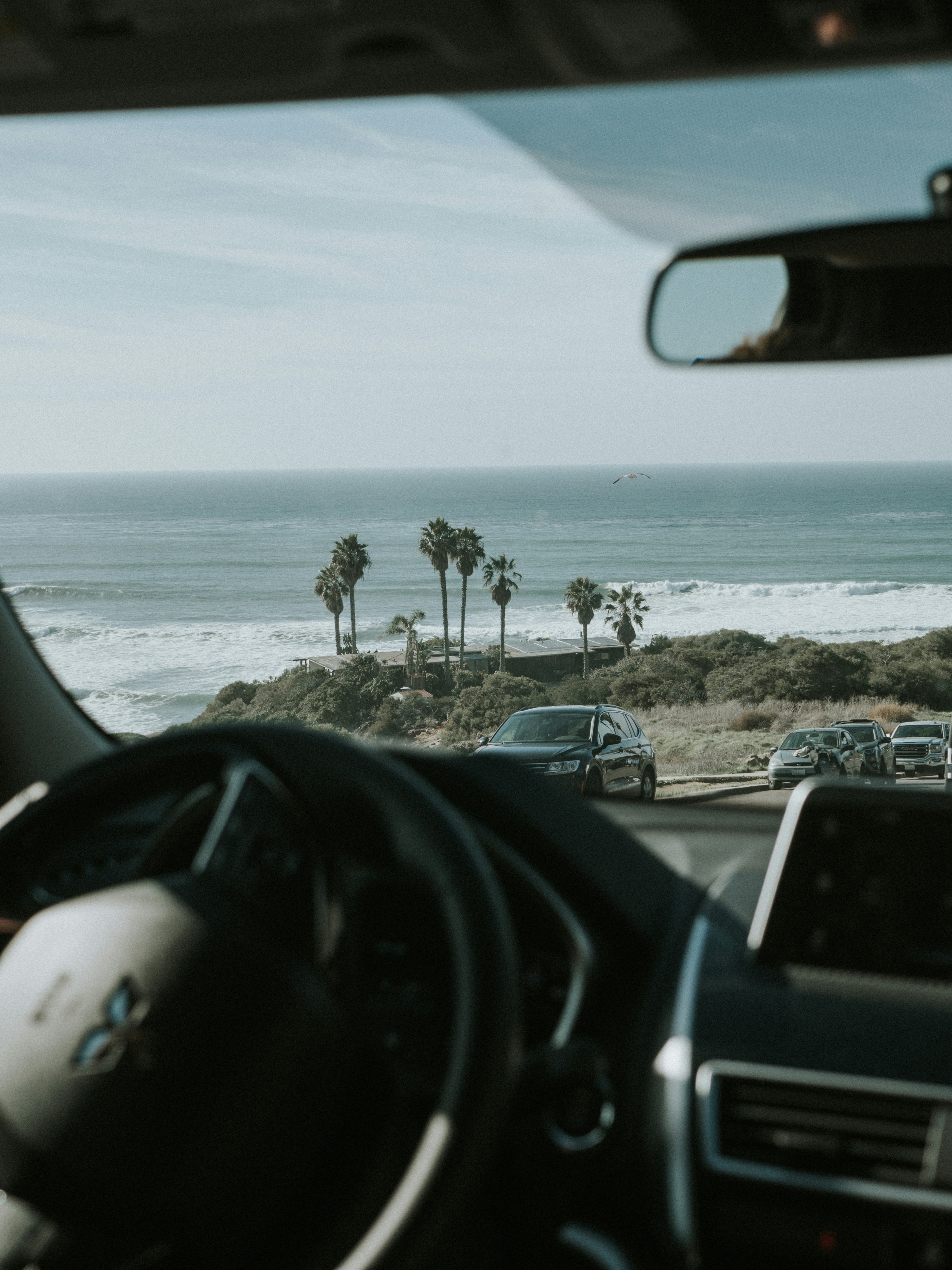 View of a coastal landscape with palm trees and waves, framed by the interior of a vehicle. 