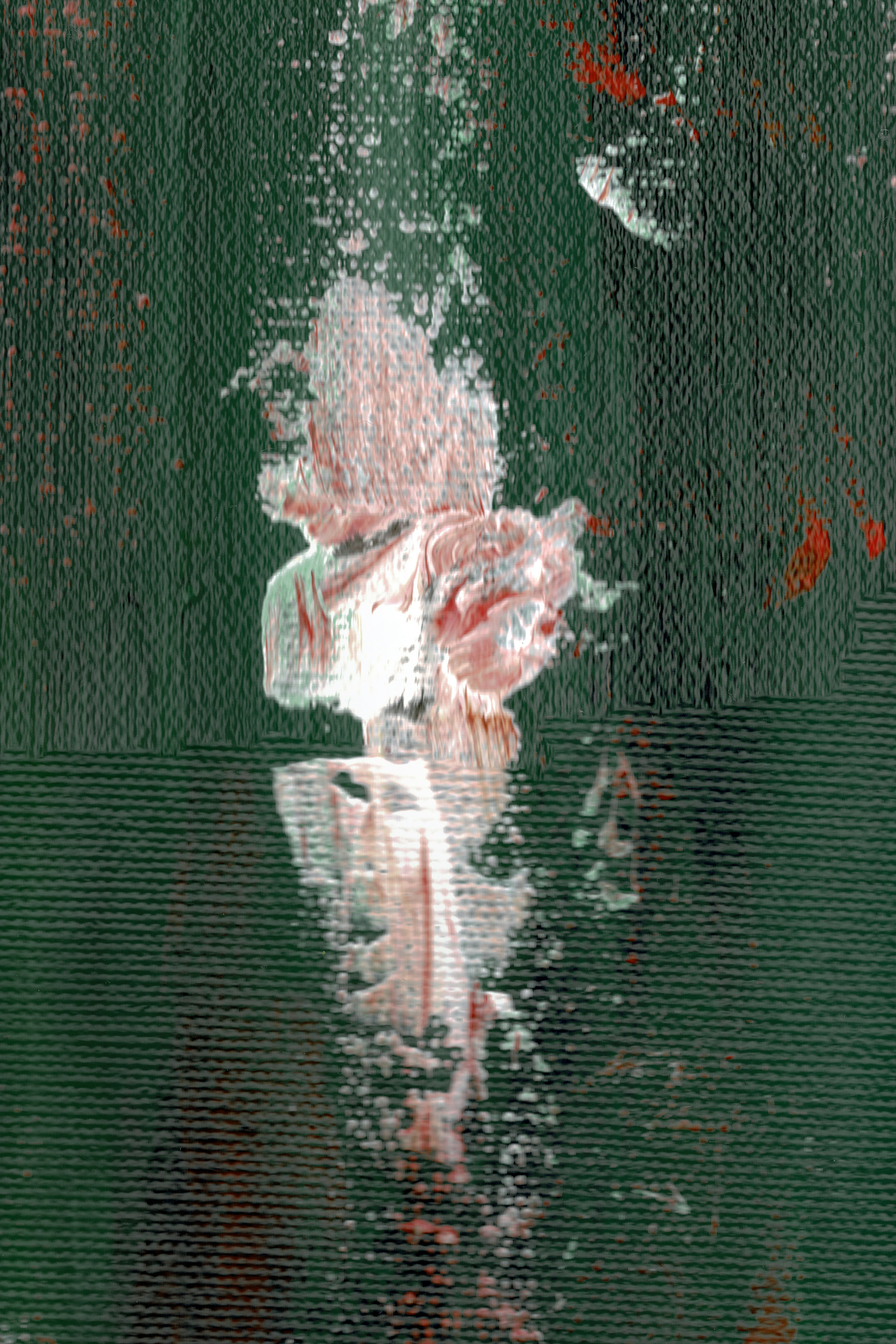 Photograph of a blush-pink dress-like silhouette reflected in a dark green, textured backdrop. The distorted reflection resembles rippled water.