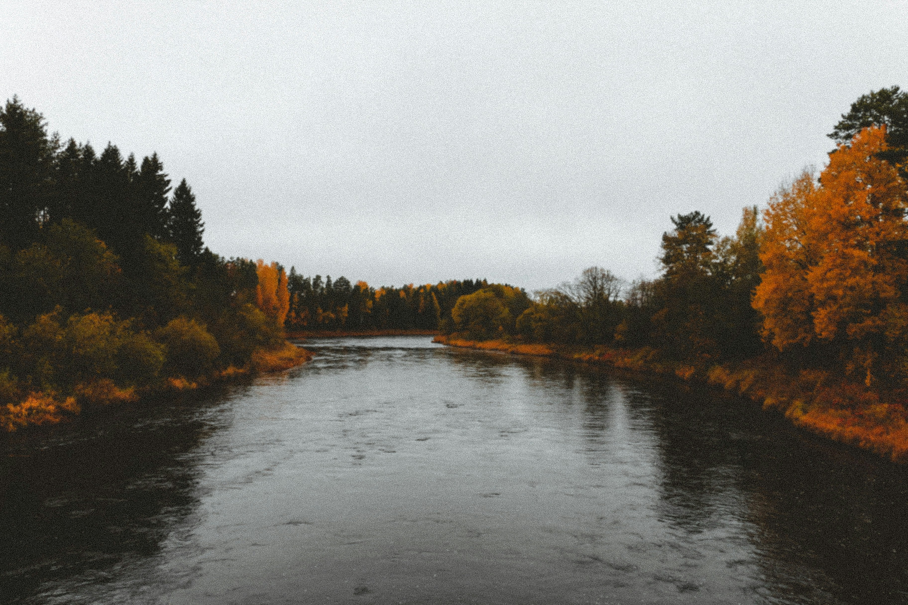 Serene river winding through an autumn landscape, framed by trees adorned in vibrant orange and yellow hues.