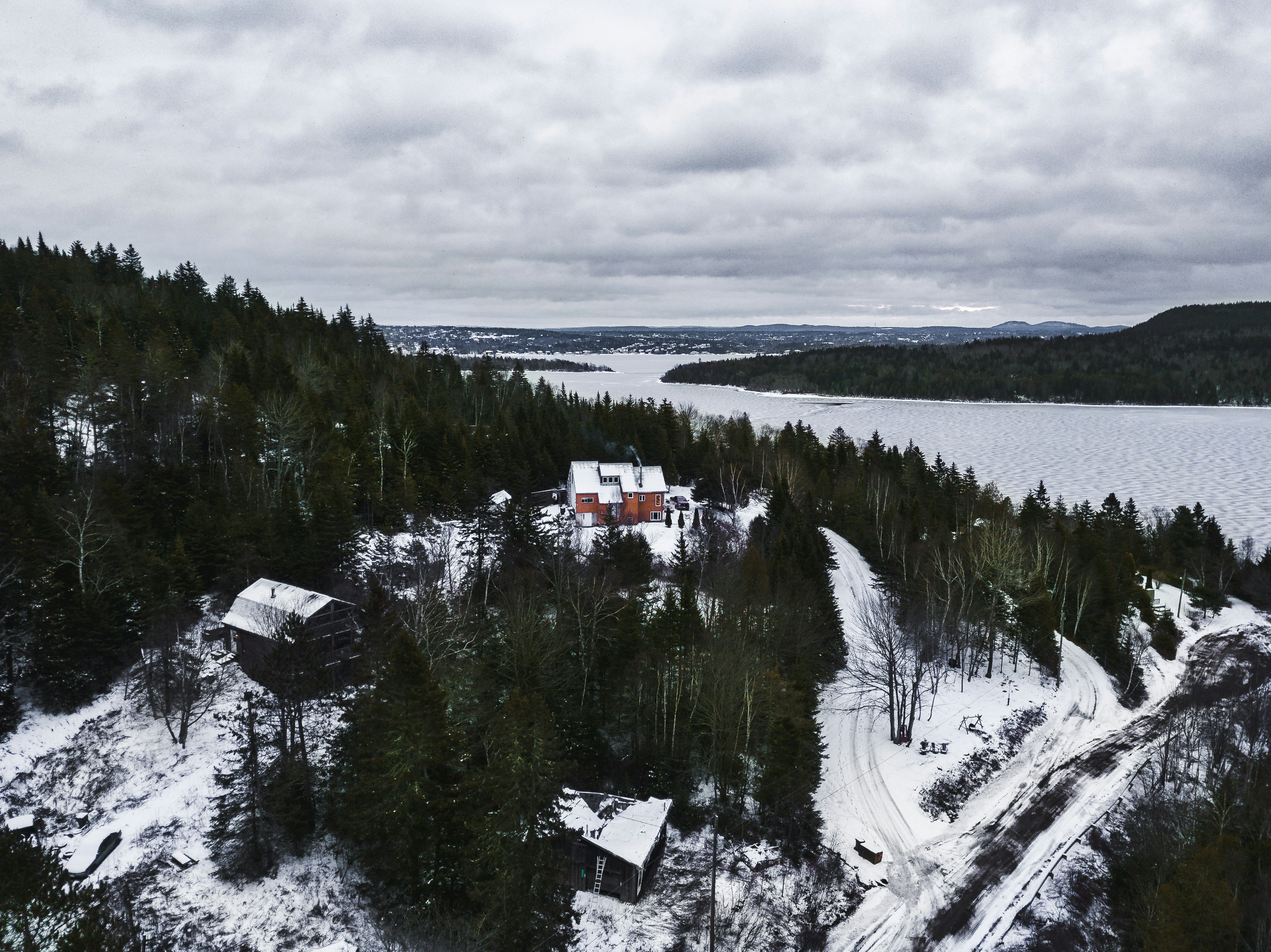 Aerial view of pine trees near river during daytime photo – Free ...