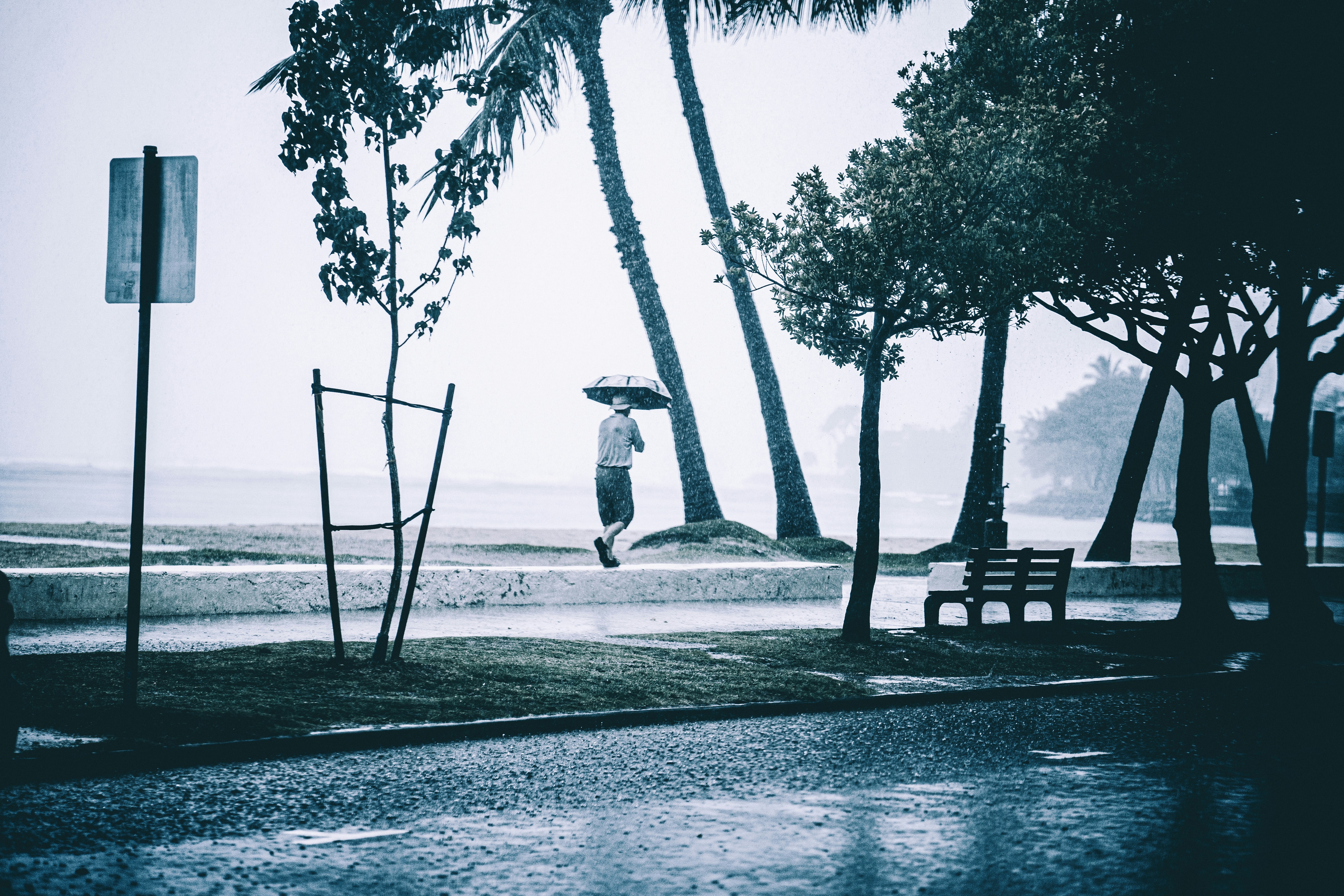 Man walking along the beach while raining photo – Free Beach Image on ...