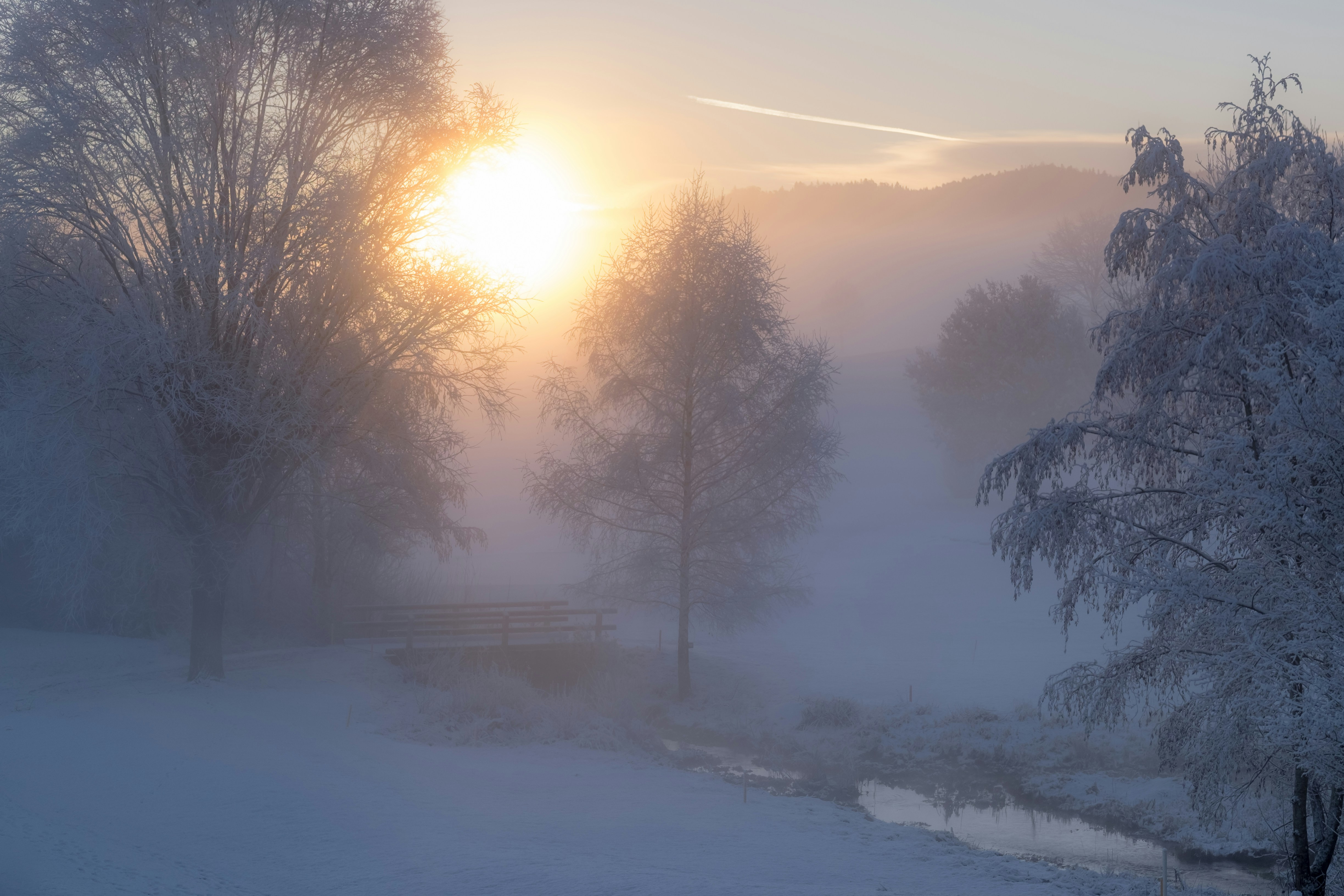 Snow covered trees during daytime photo – Free Nature Image on Unsplash