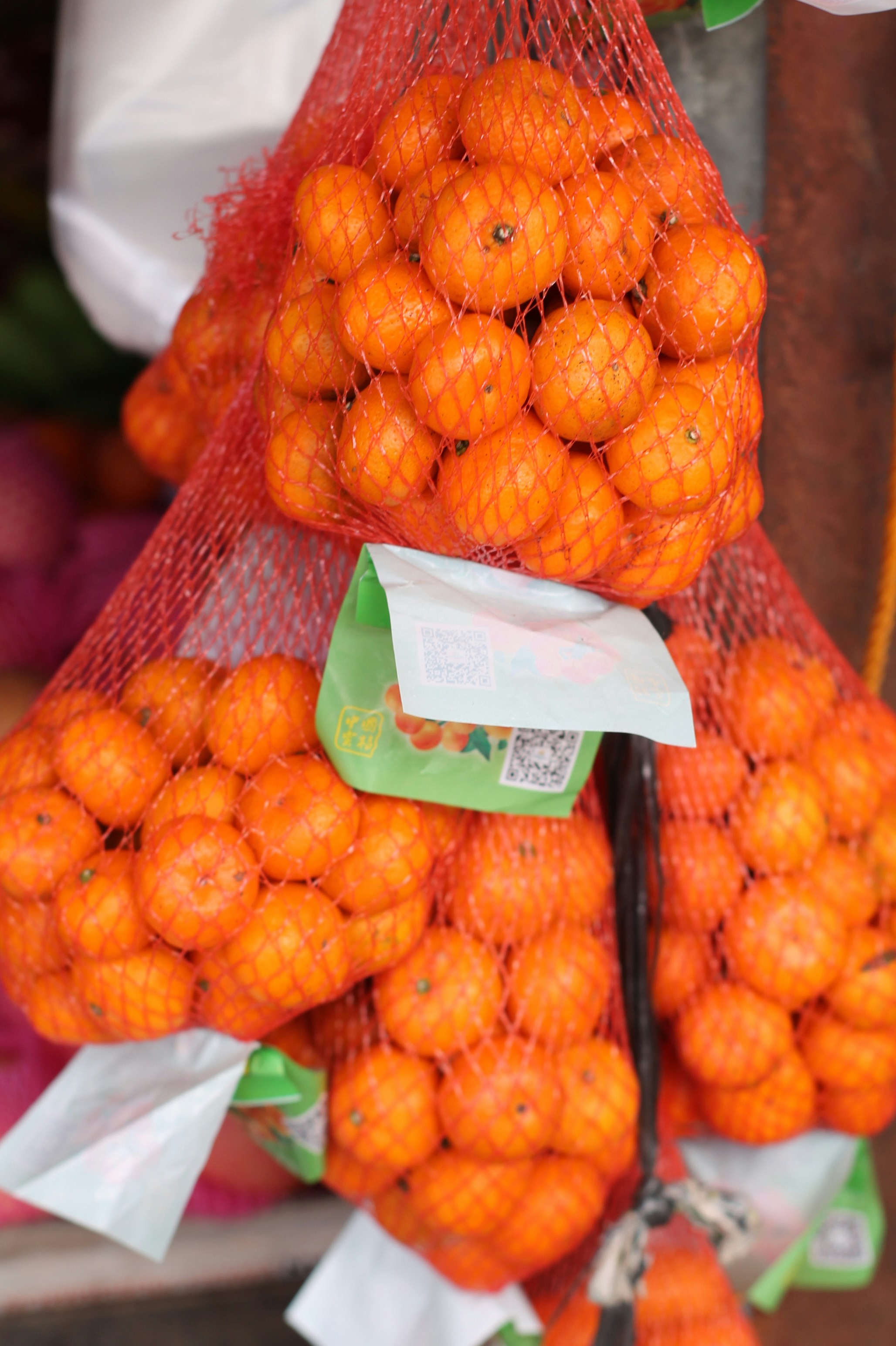 Bundles of round orange fruits photo – Free Citrus fruit Image on Unsplash
