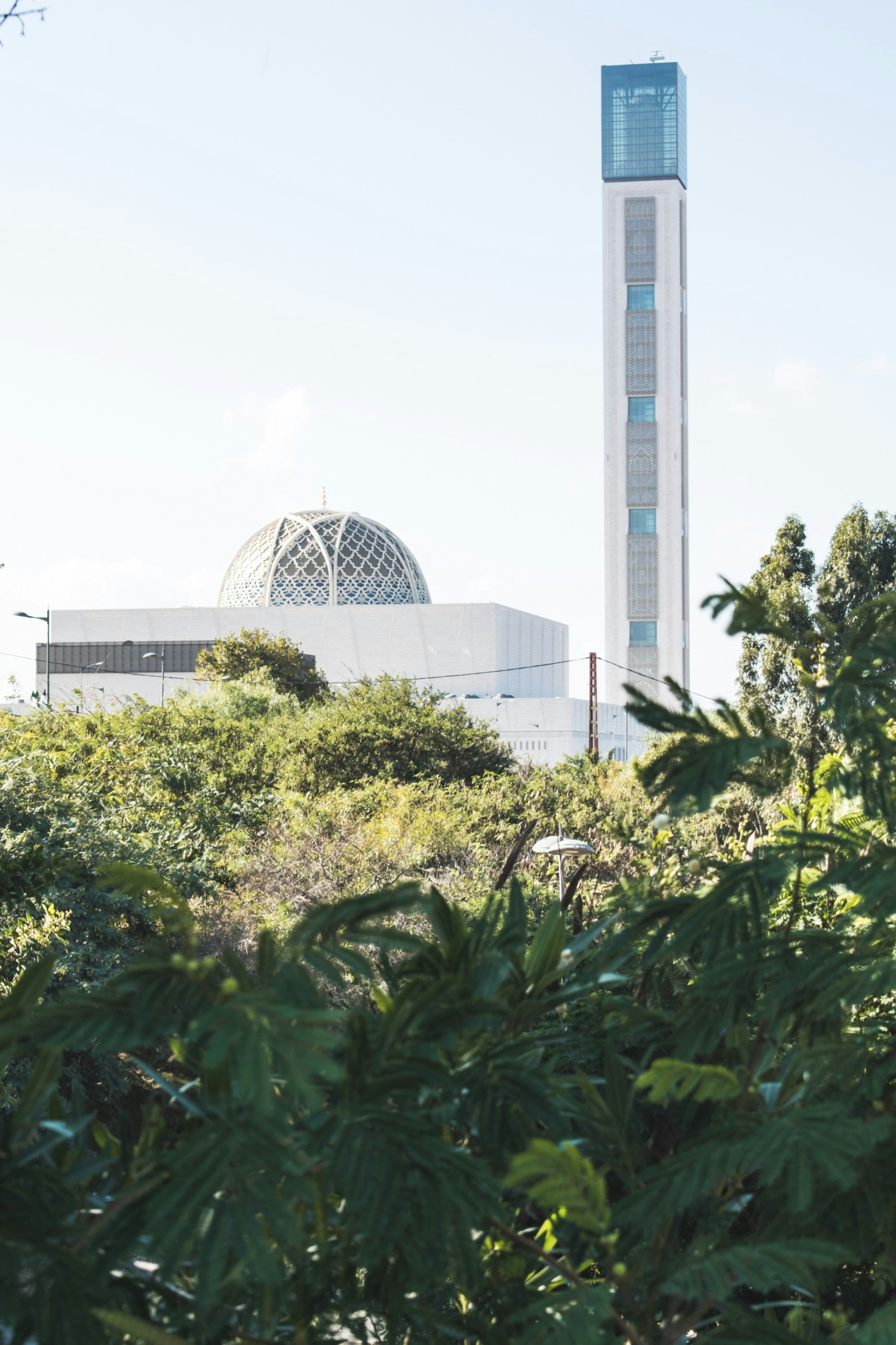 Tower Over Dome: A Modern Campus Skyline Emerges from Lush Foliage
