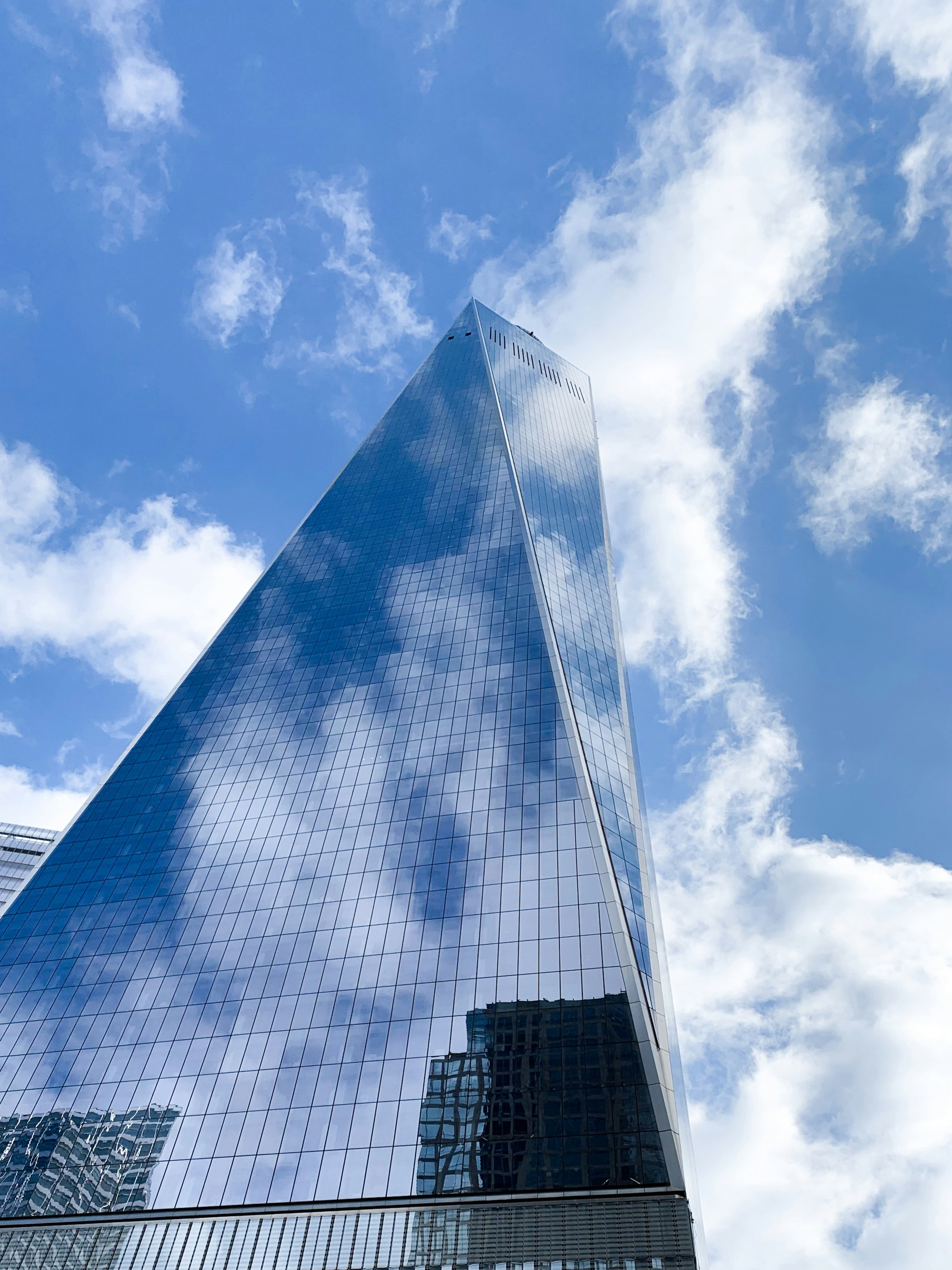 Curtain wall high-rise building during daytime photo – Free Blue Image ...