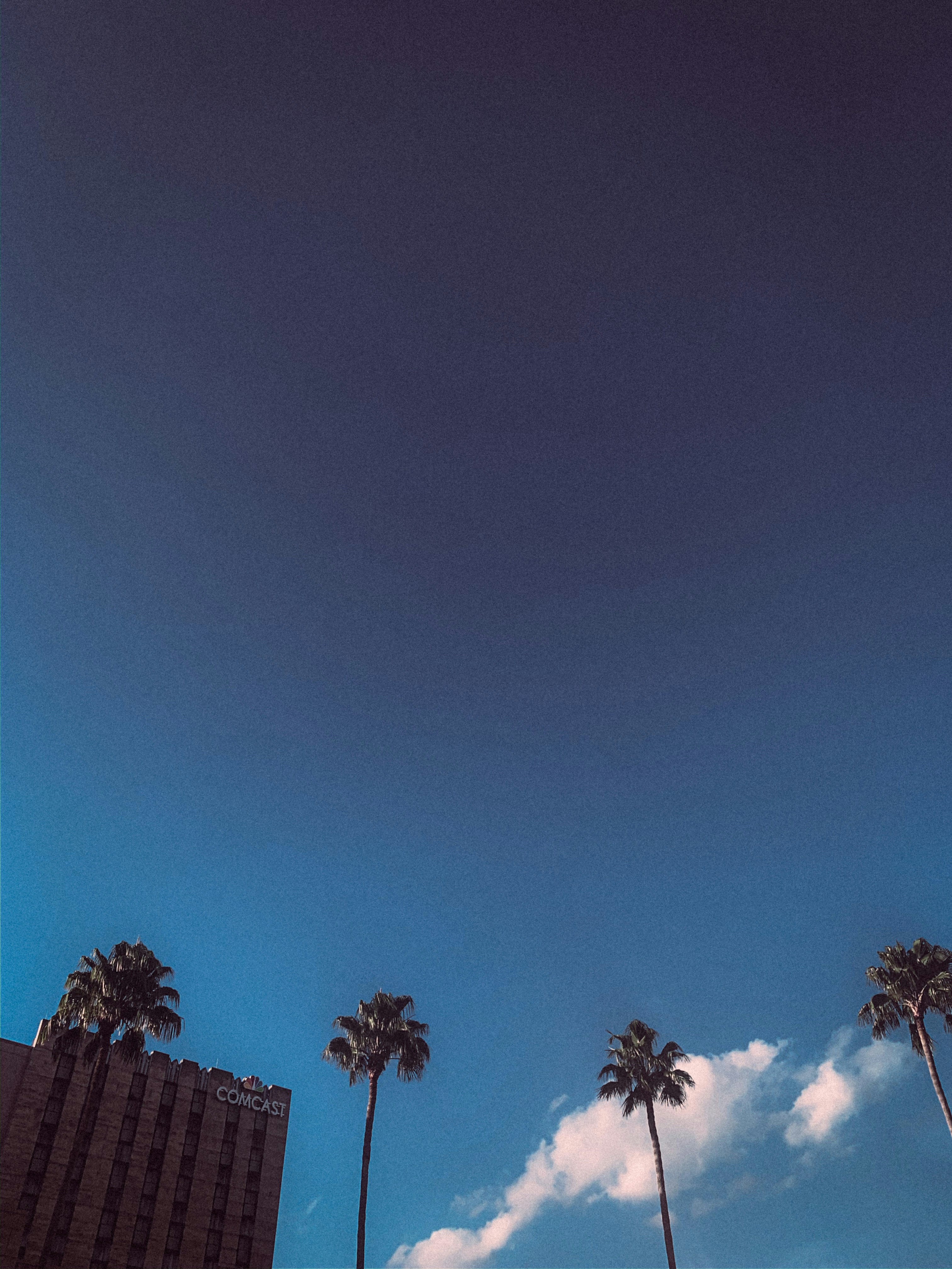 universal