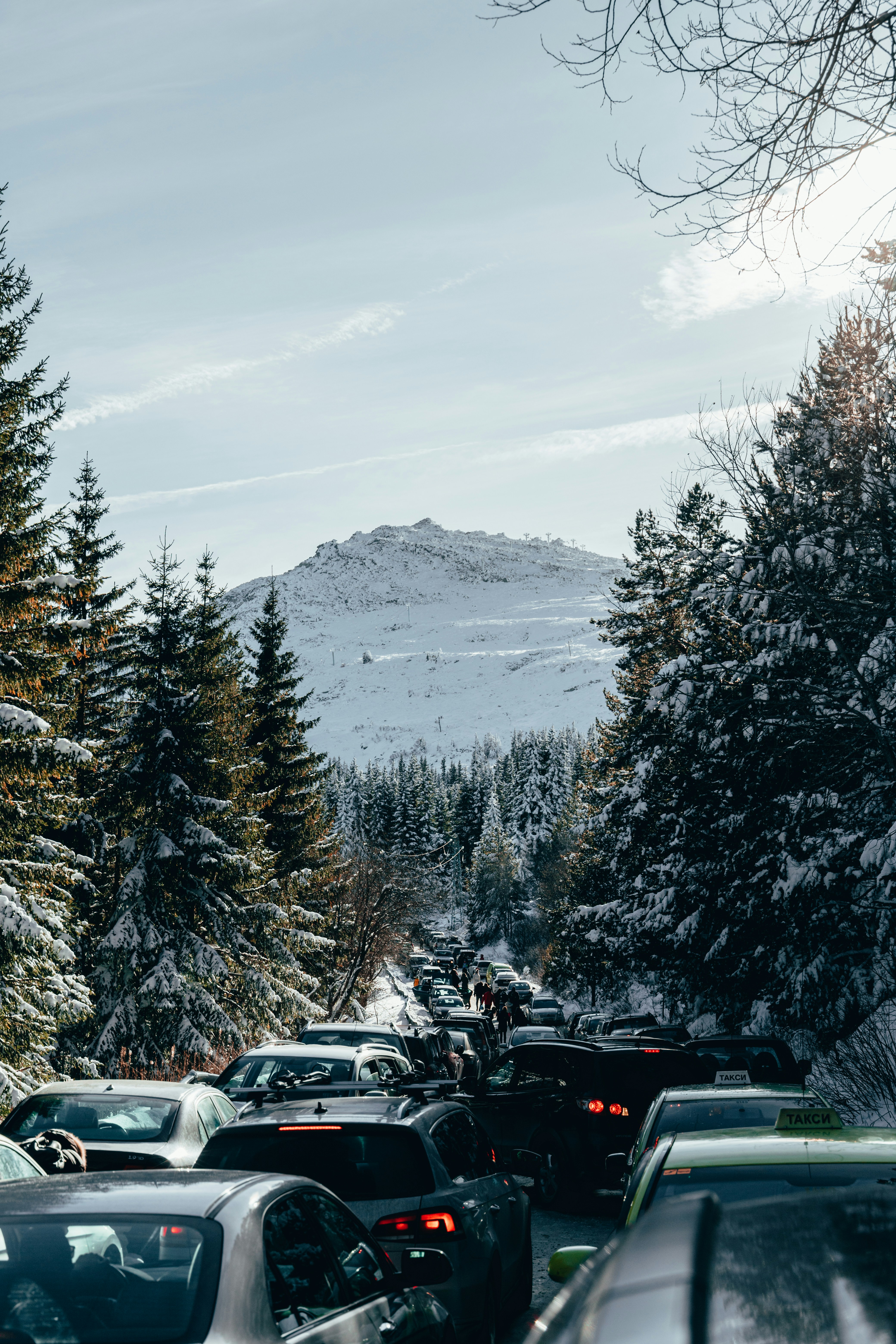Snowbound Traffic Jamboree: Cars Streak Through a Frosted Forest