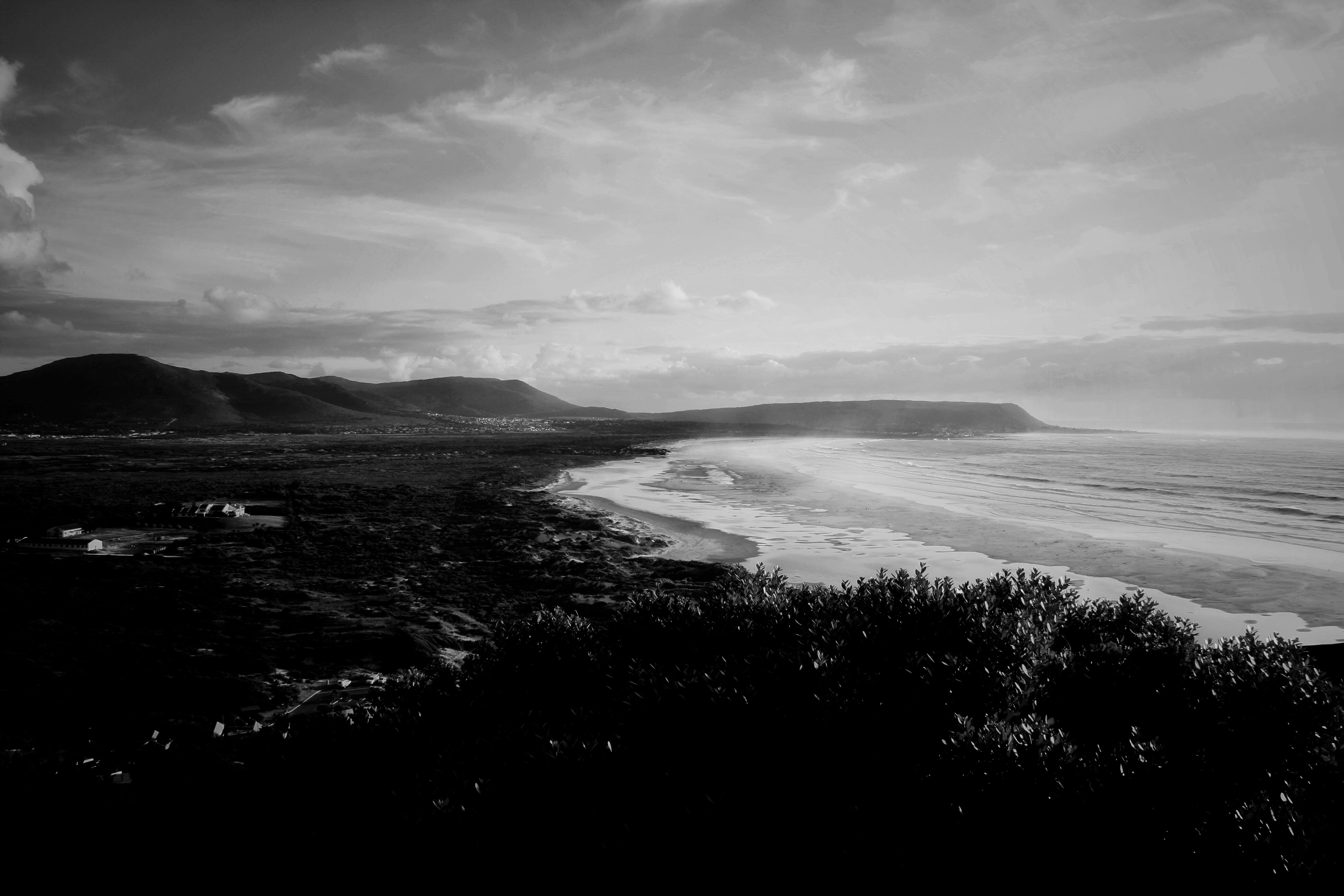 Greyscale photo of seashore near trees during daytime photo – Free ...