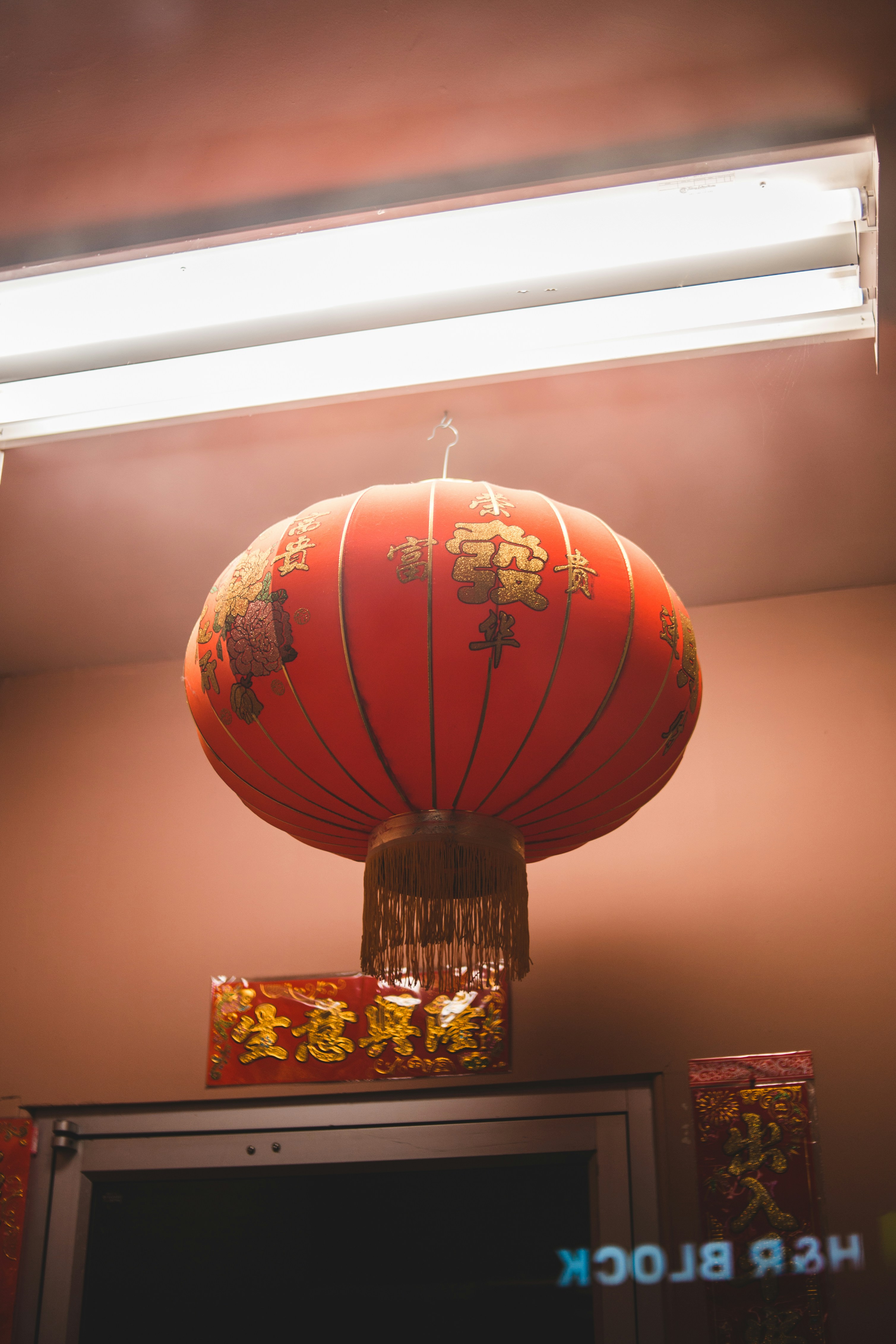 Crimson Lantern Under Neon Fluorescence