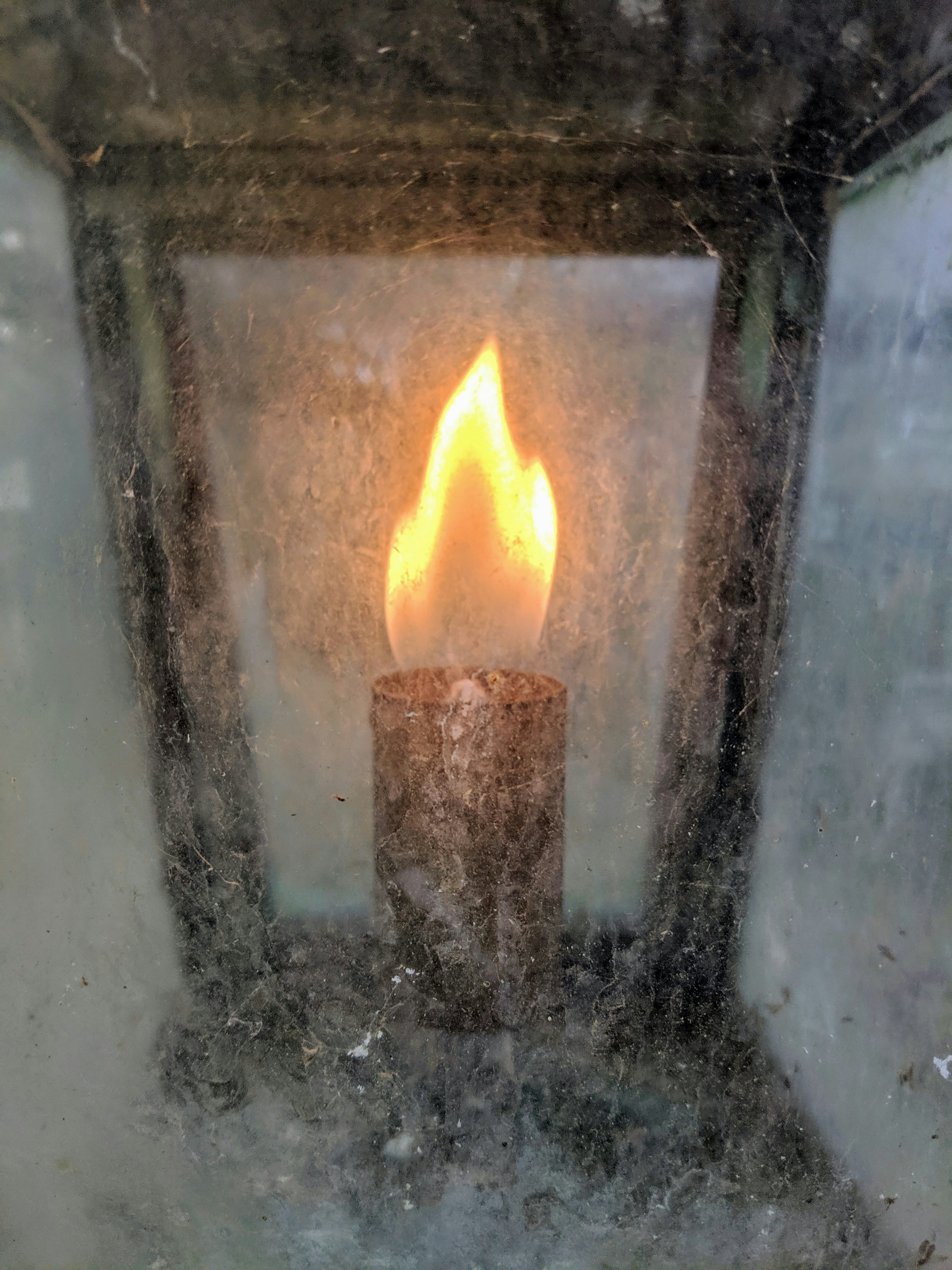 Reed Fox (@reeder) | Comunidade de fotos da Unsplash