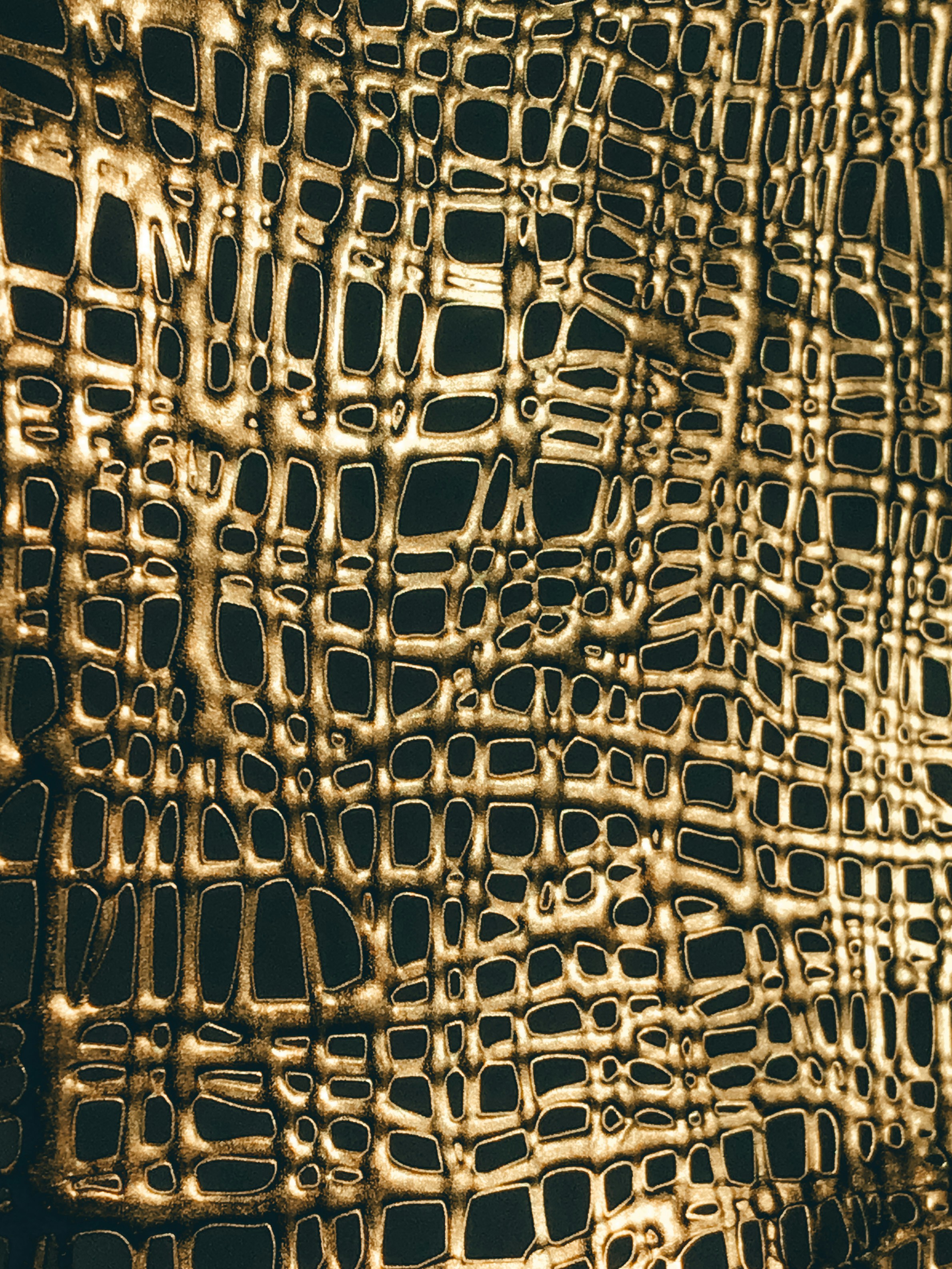 Gilded Lattice: a Macro Study of Light Through a Metallic Grid