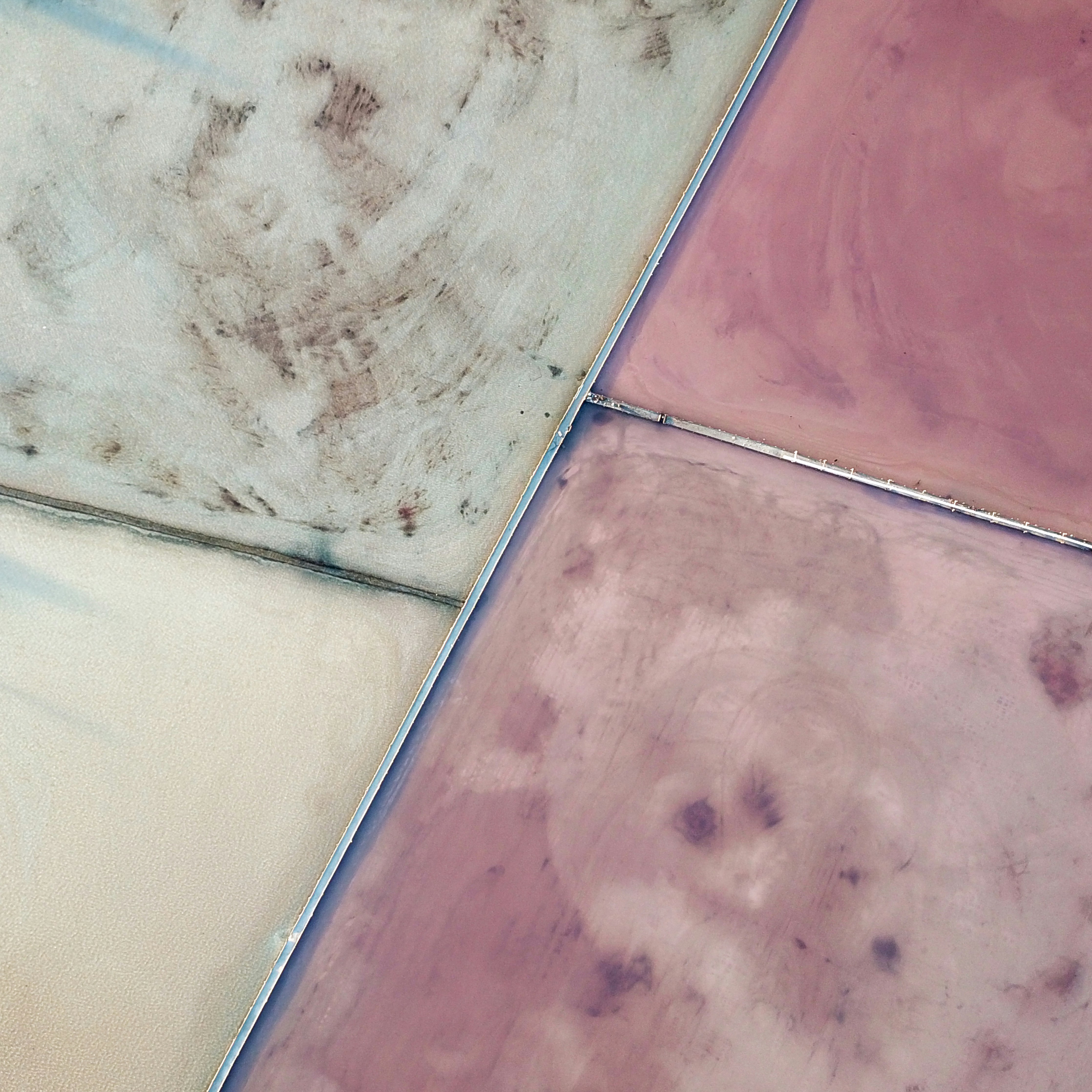 Crisscrossed Salt Flats: Colored Lands Divided by Narrow Vascular Ridges