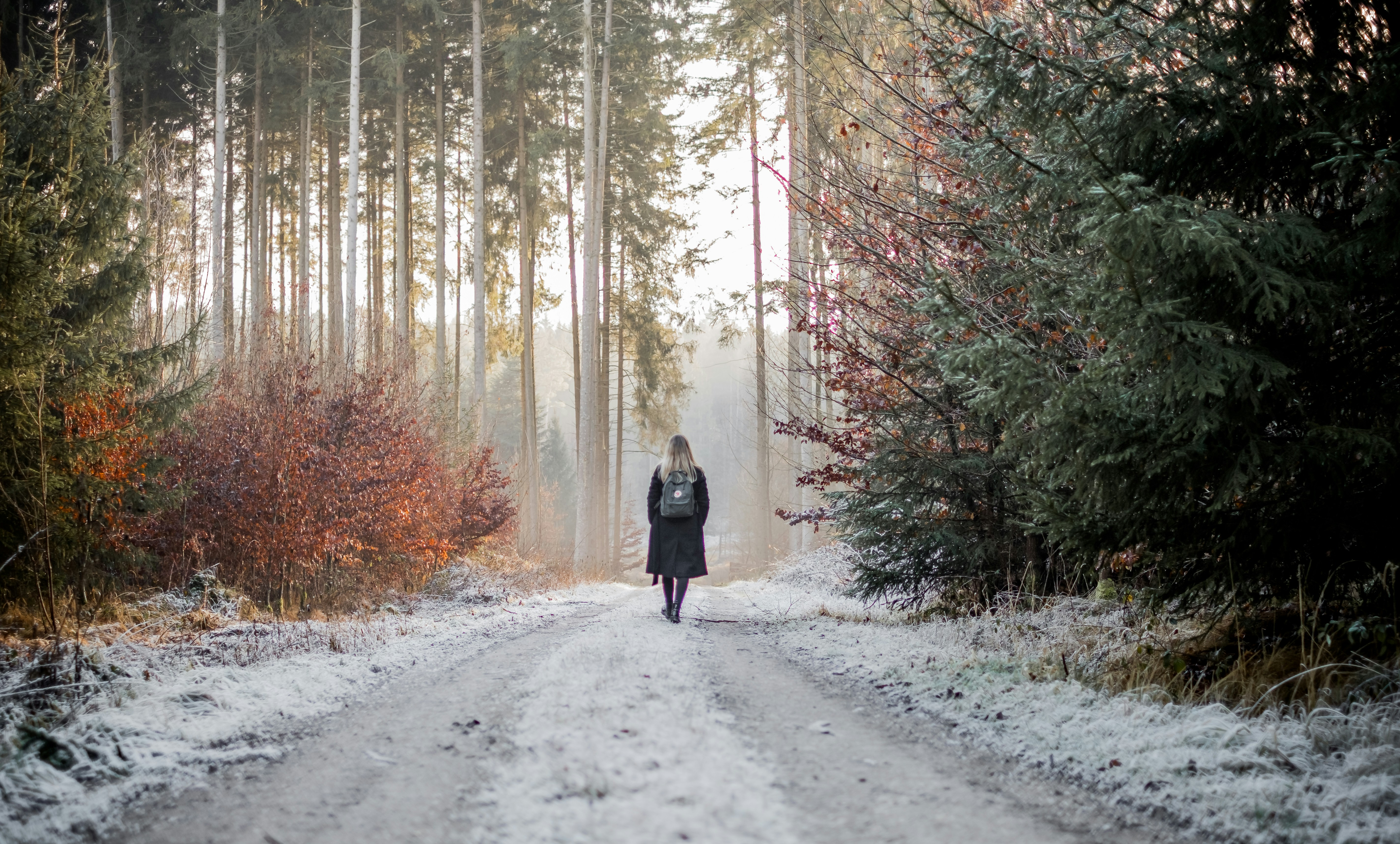 Woman walking between trees during daytime photo – Free Tree Image on ...