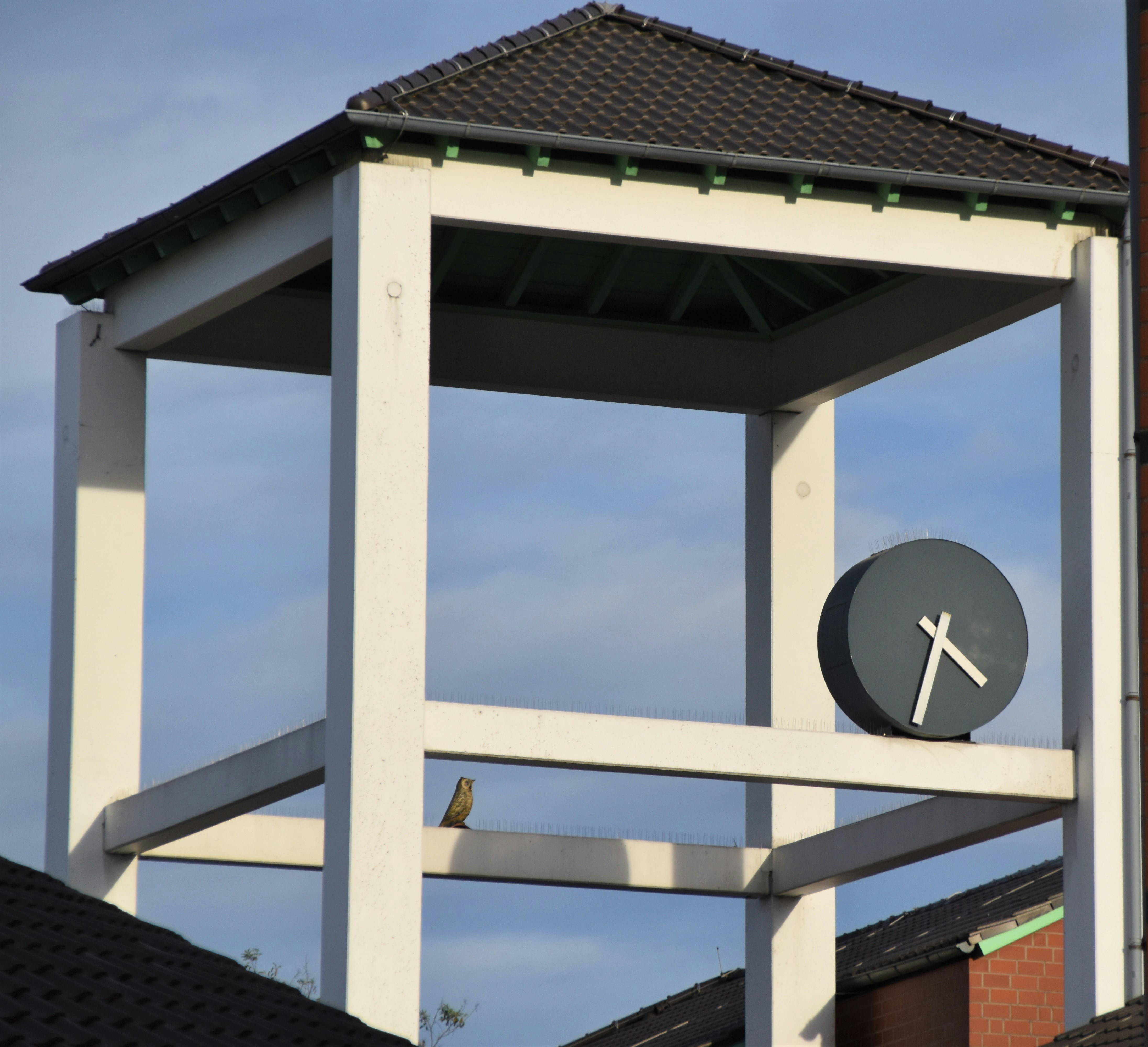 A bird perched on a wooden structure beneath a slanted roof, with a circular emblem featuring a cross in the background.