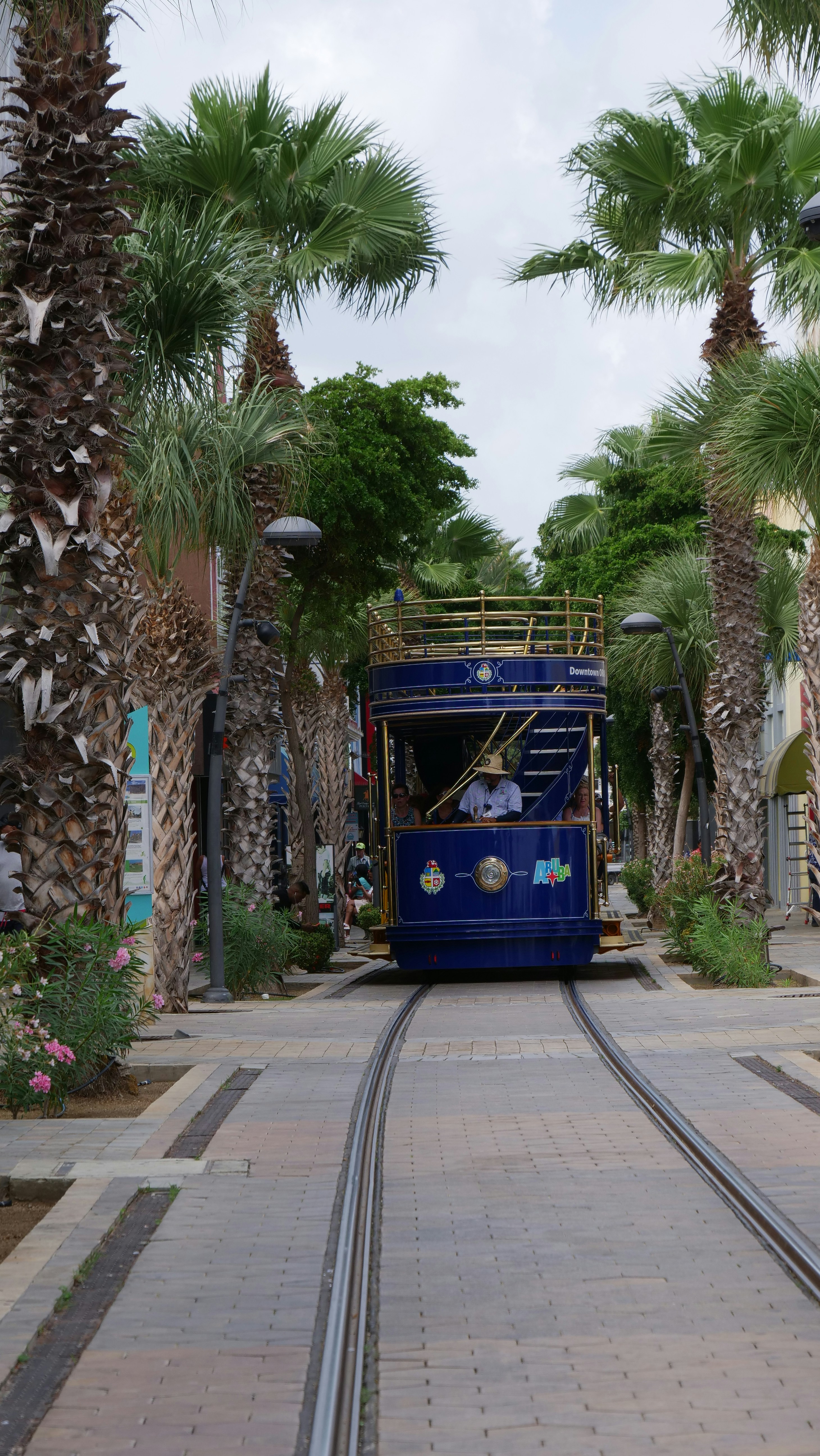 Blue Heritage Tram Traverses a Palm-Fringed Pedestrian Avenue