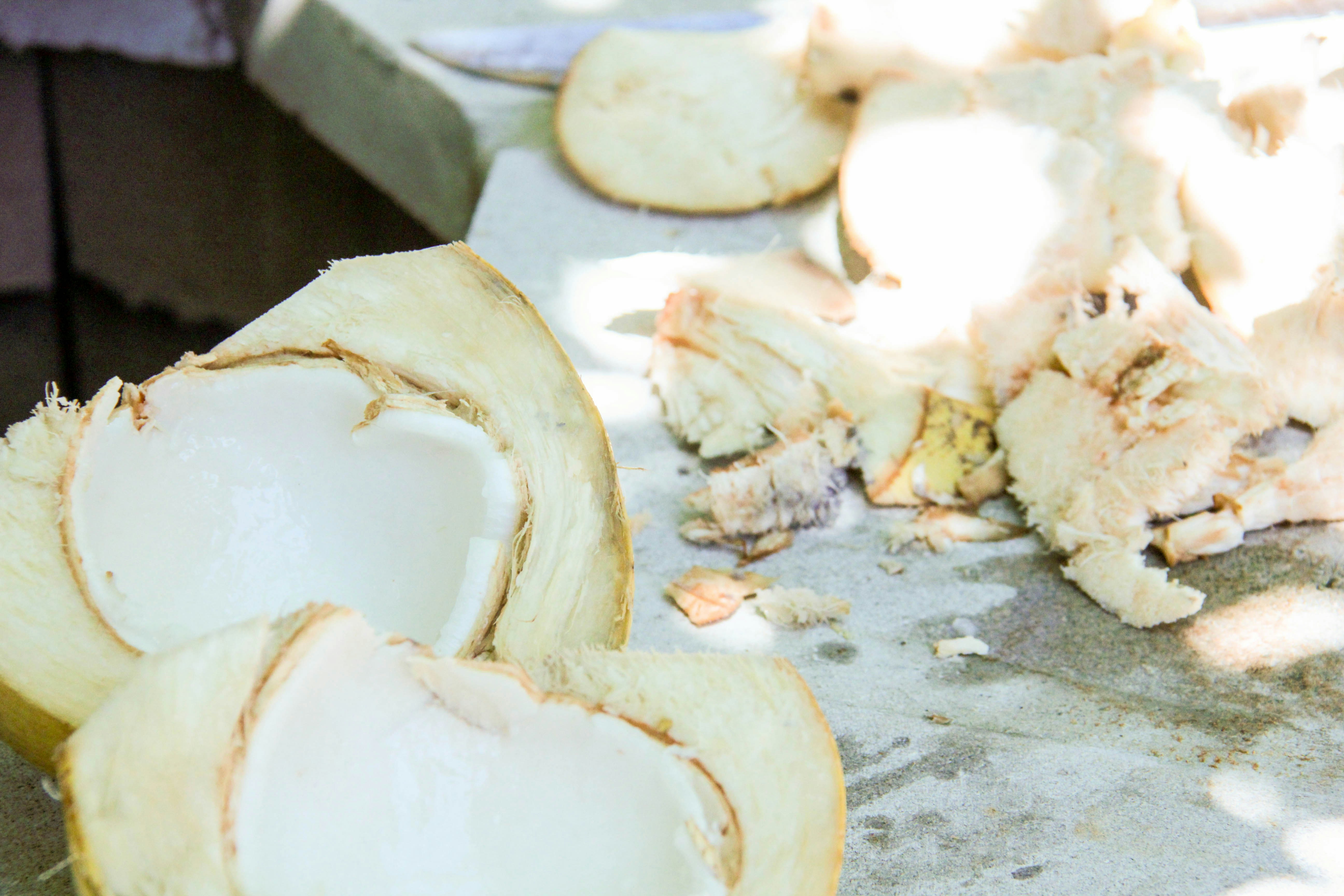 Freshly cut coconut halves revealing the creamy interior on a rustic surface, with shavings scattered nearby.