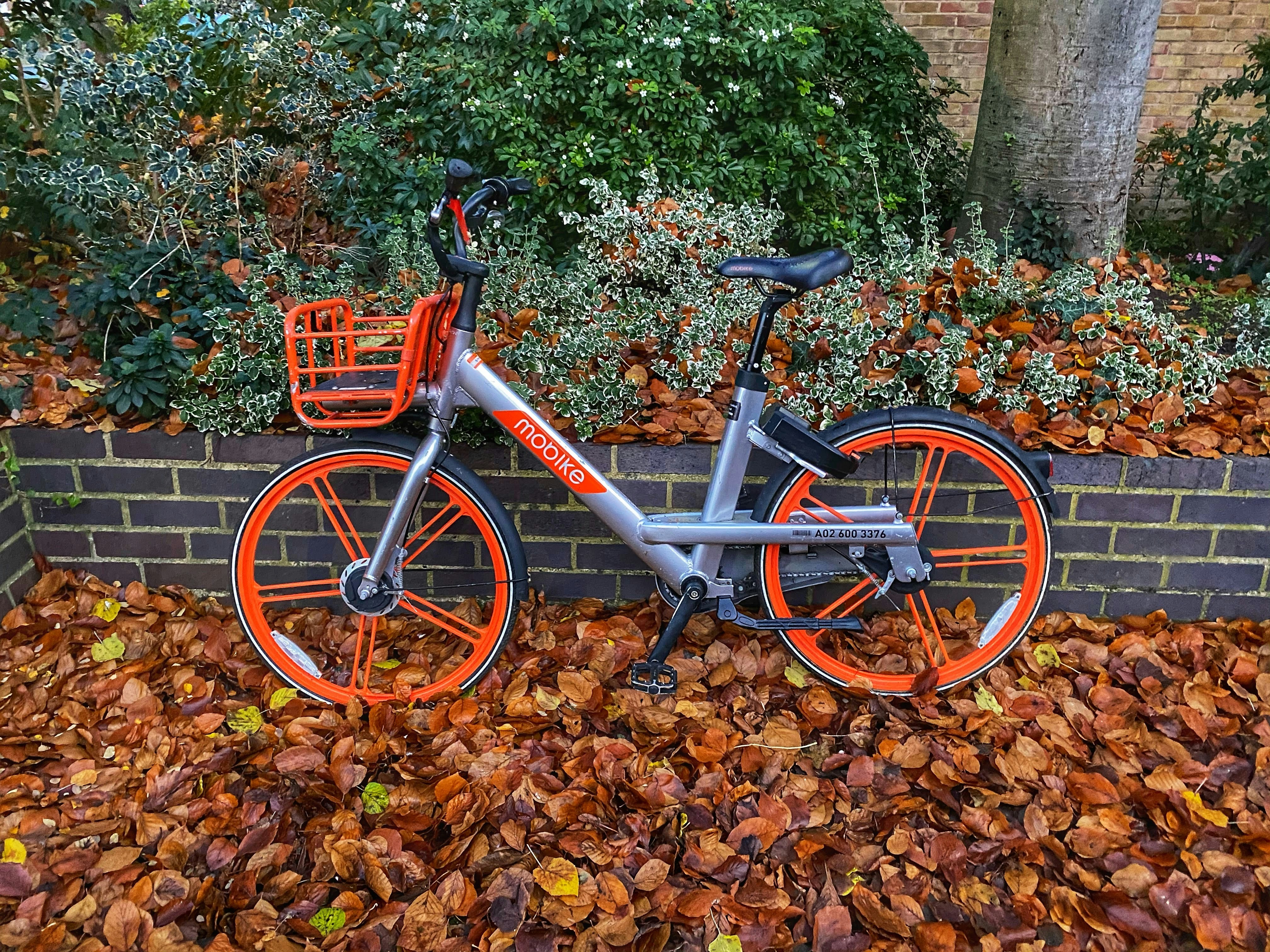 Last days of fall, London