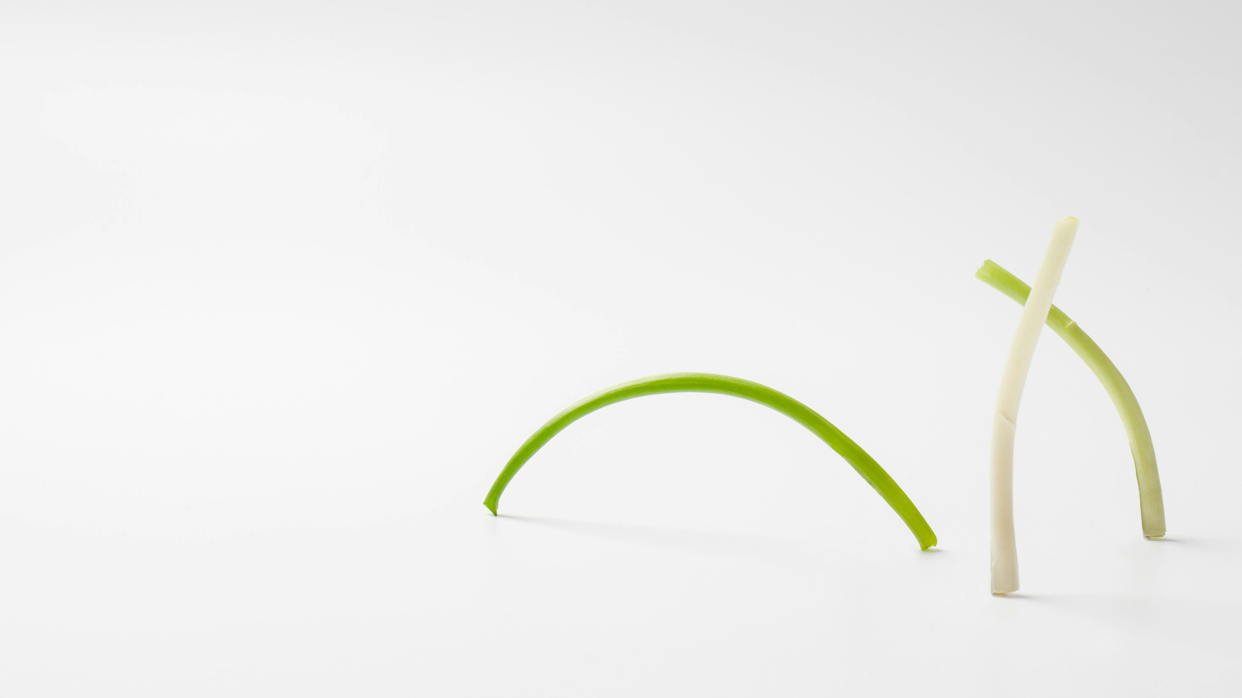 Green and white sprig onions photo – Free Food Image on Unsplash