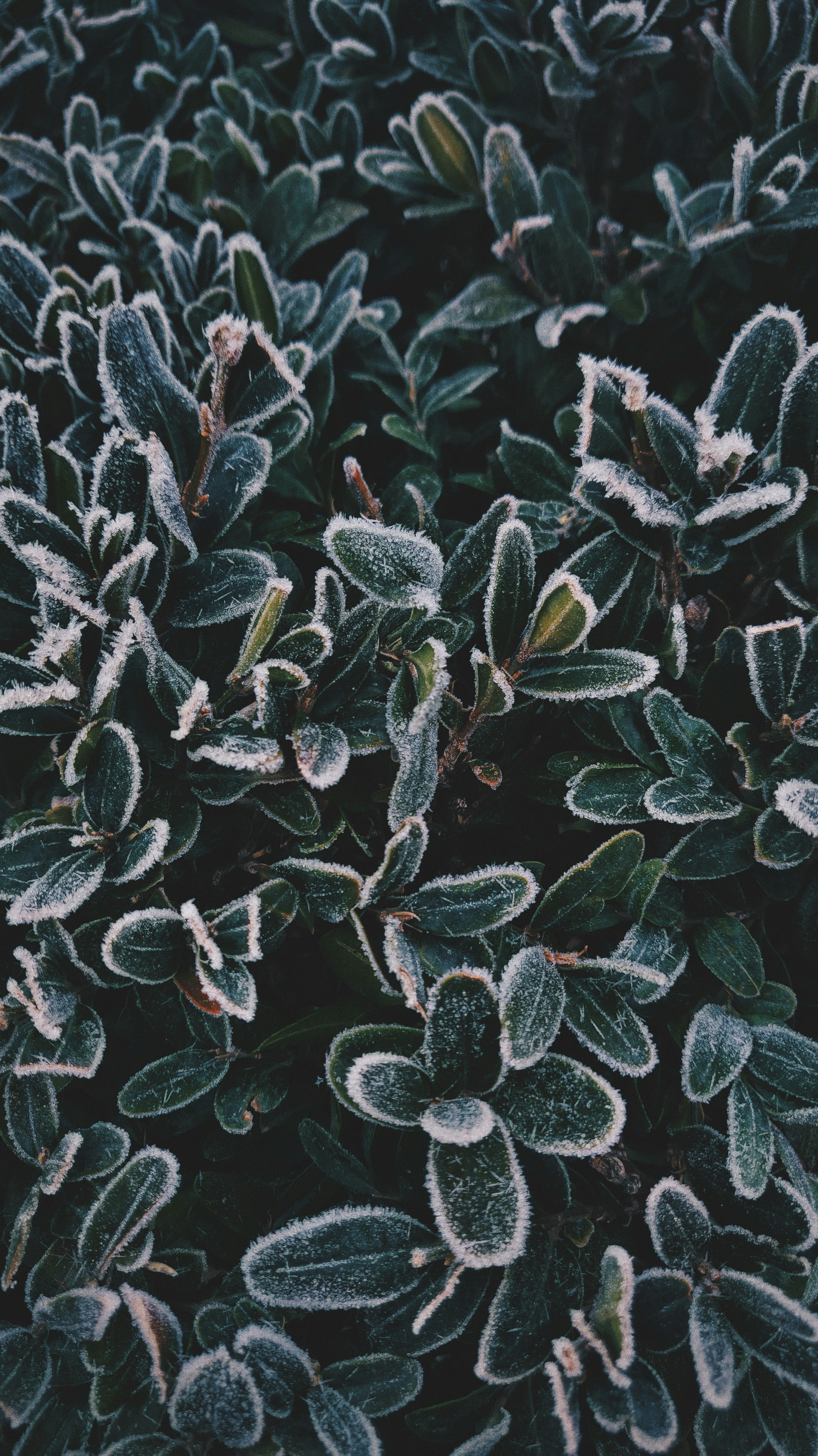 Photo by Max Bovkun with OnePlus 6