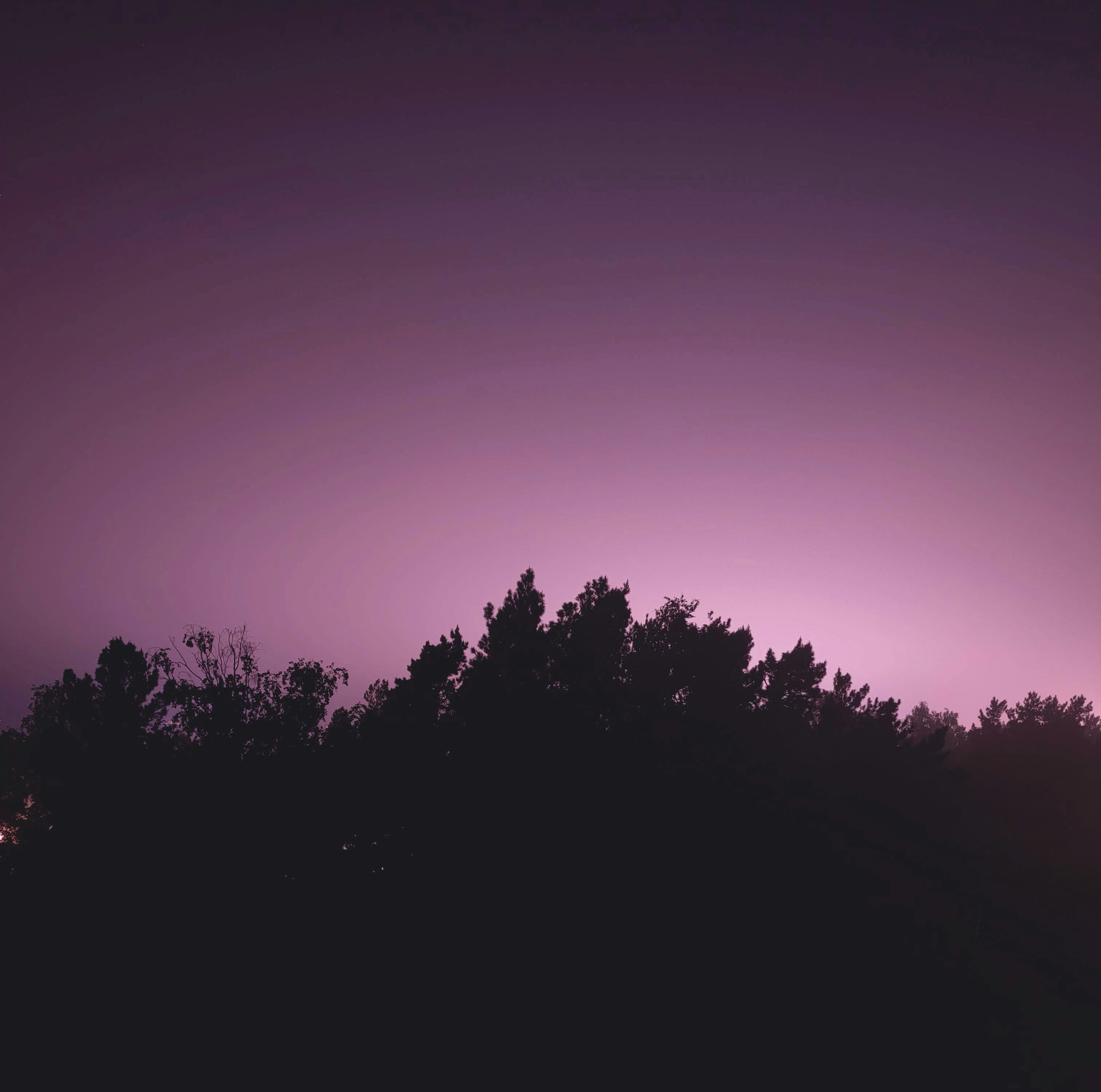 Silhouetted treeline against a violet dusk gradient creates a tranquil twilight mood. The soft gradient from deep purple to pink highlights the horizon glow.