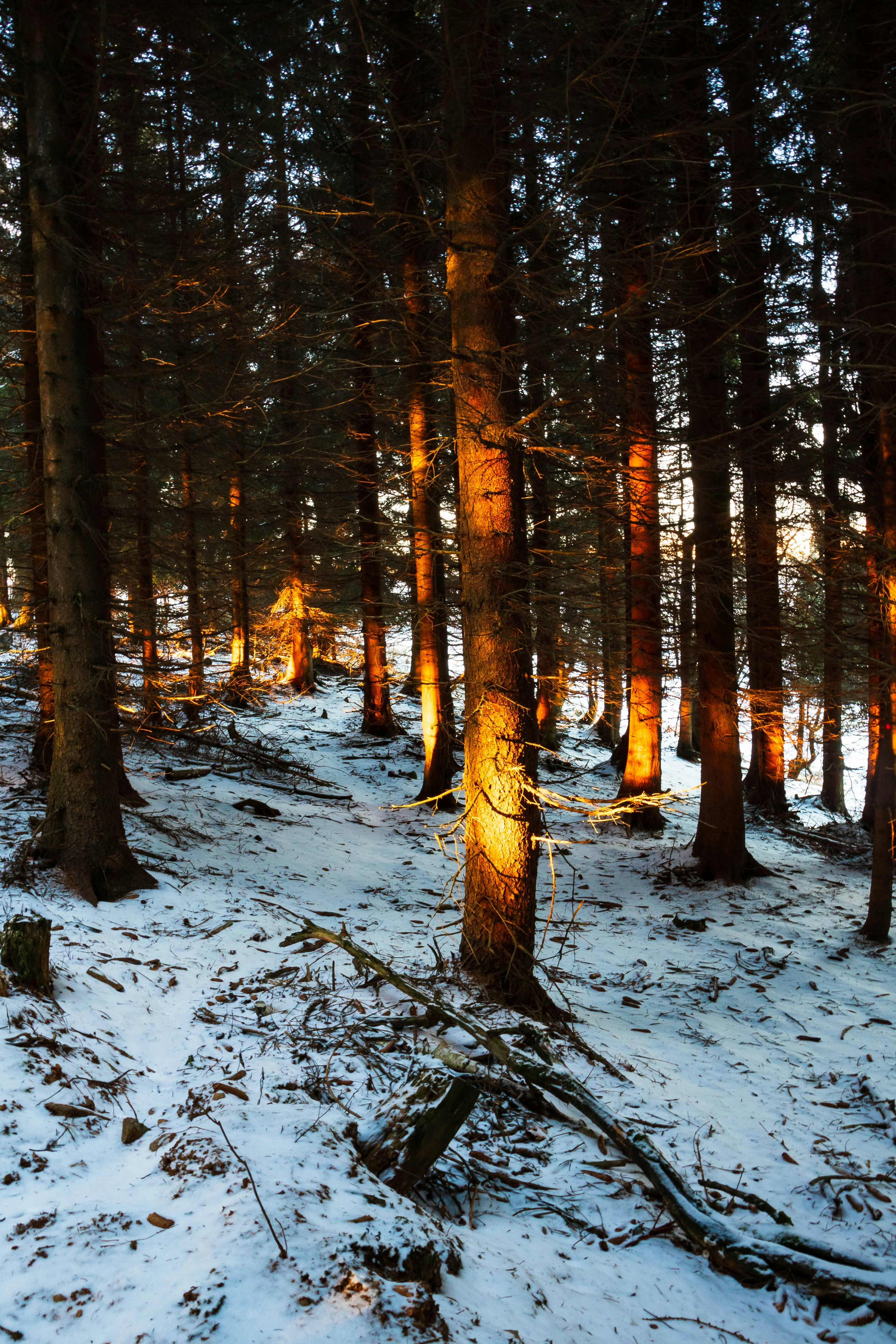 Krupka Fotos | Baixe imagens gratuitas na Unsplash