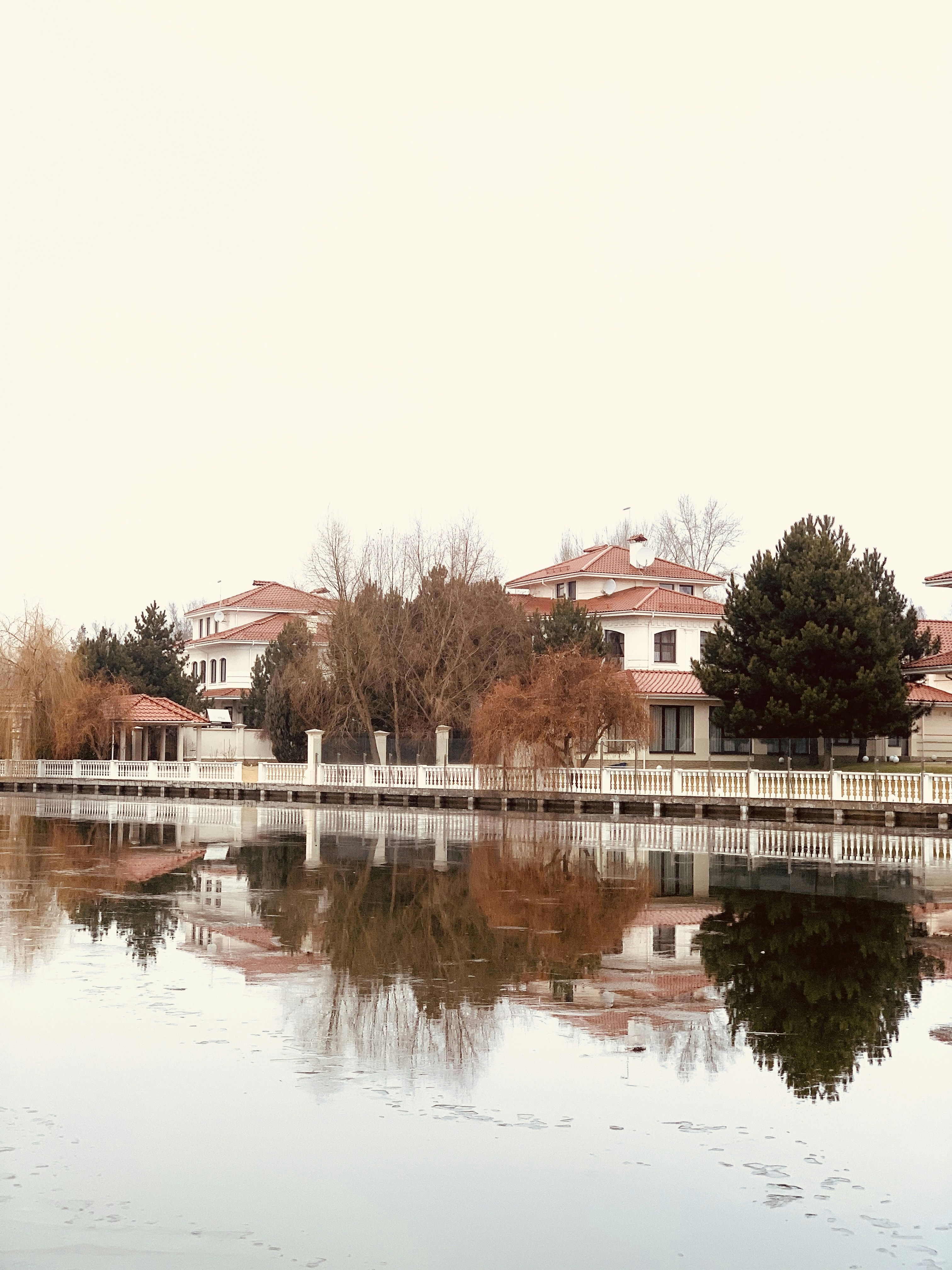 white and brown houses near trees and body of water